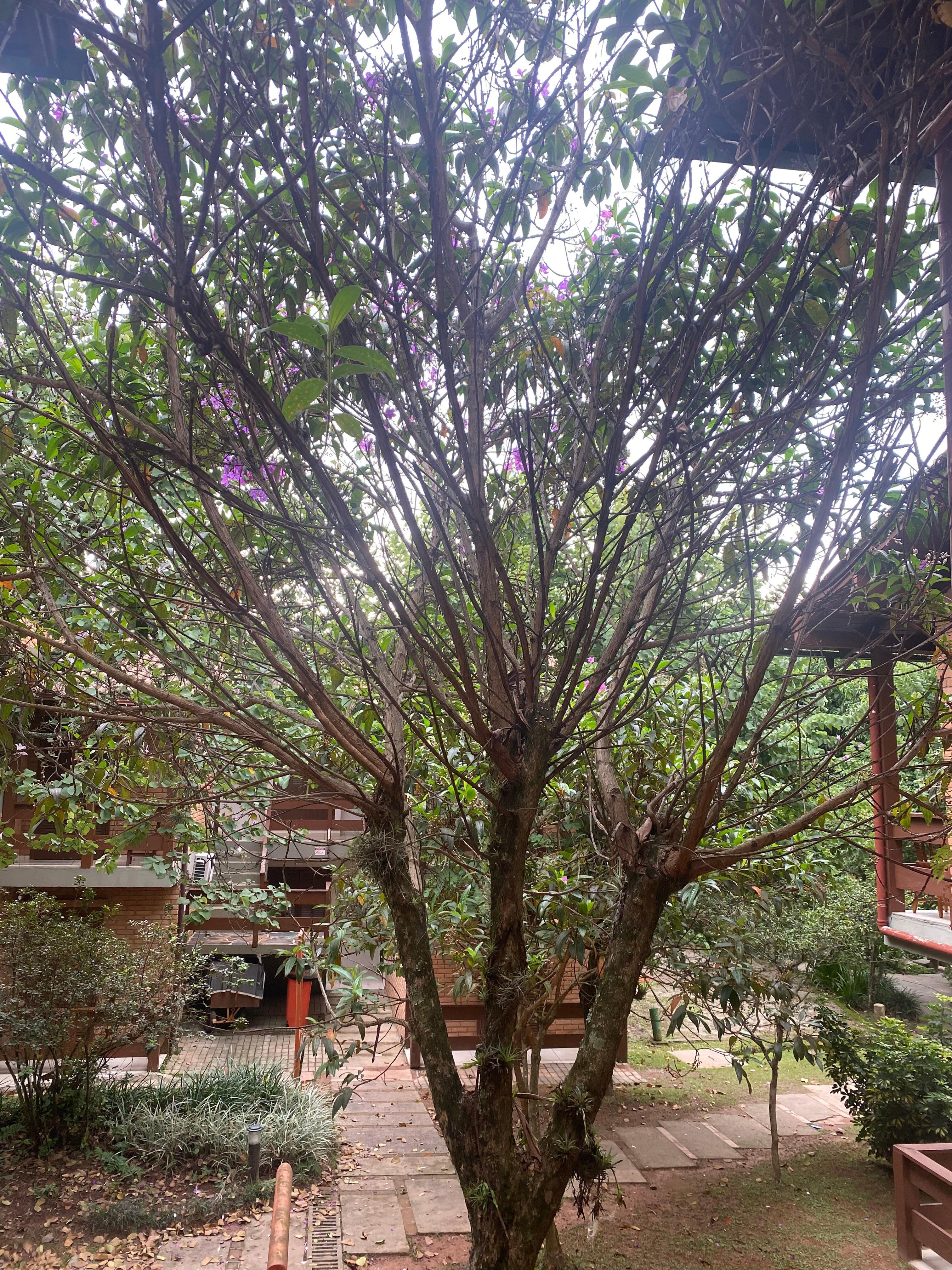 Espaço externo maravilhoso 