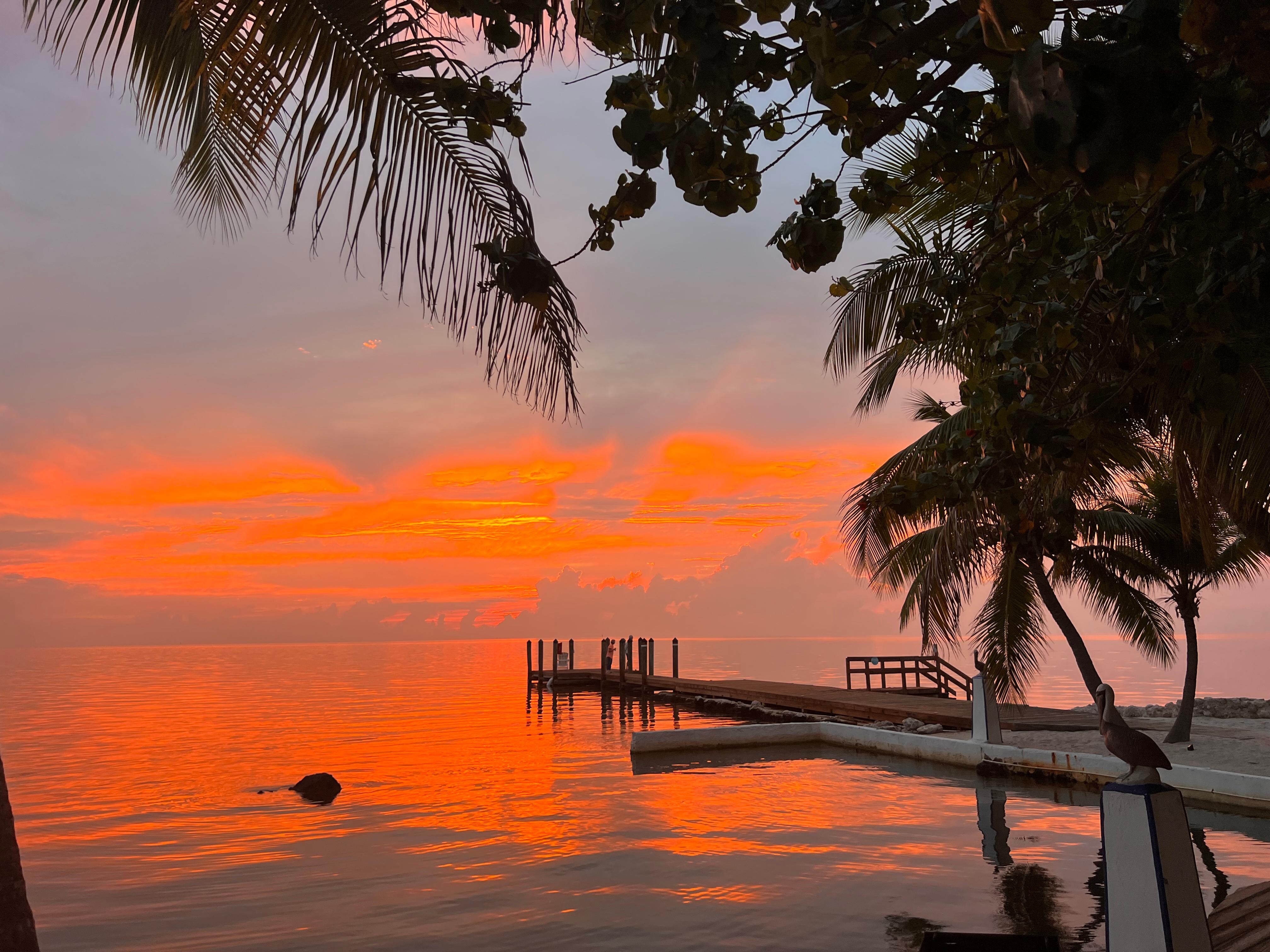 Lime Tree Bay Resort in Long Key: Find Hotel Reviews, Rooms, and Prices ...