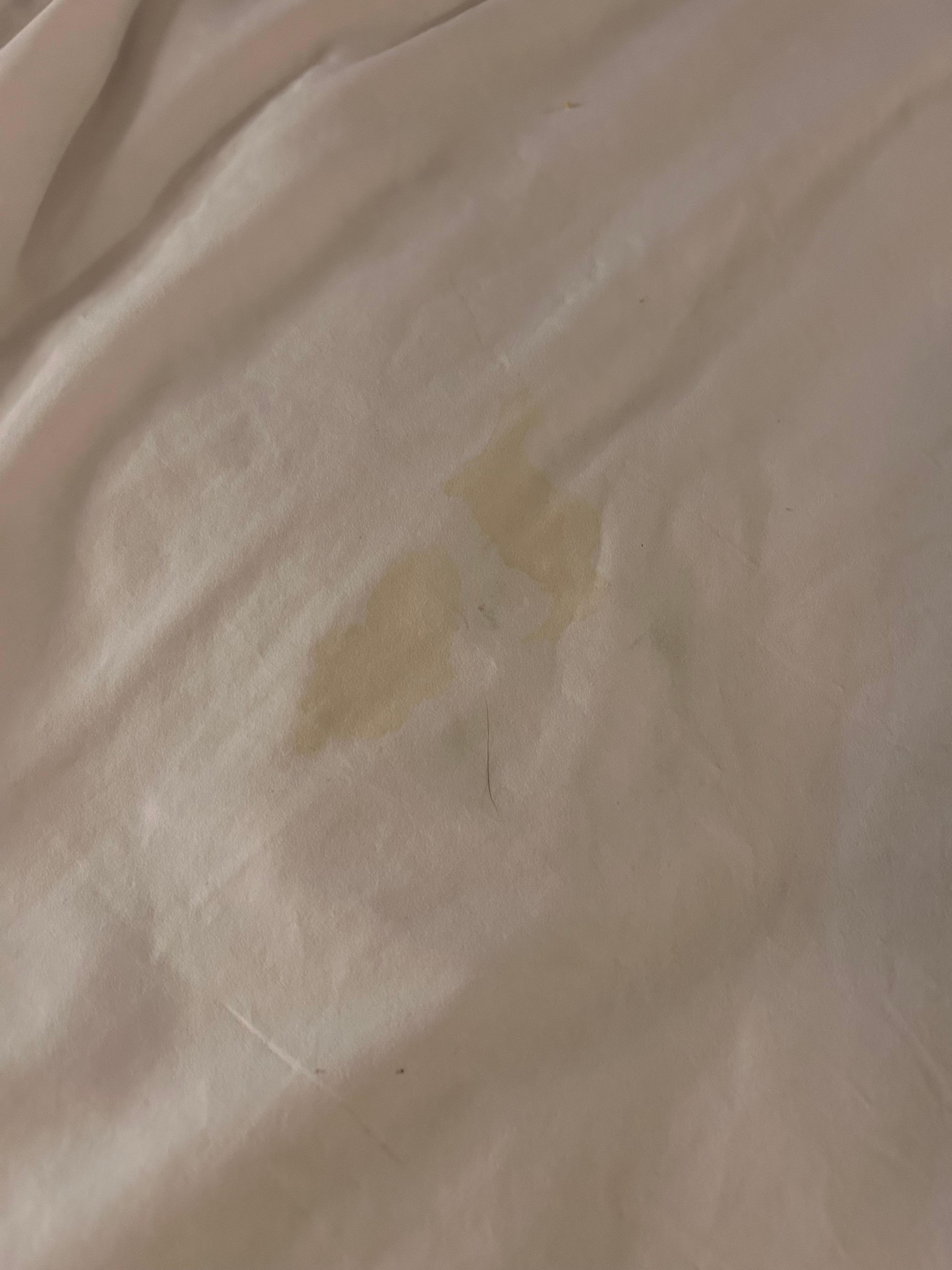 Las
Sábanas de la cama orinadas 😬