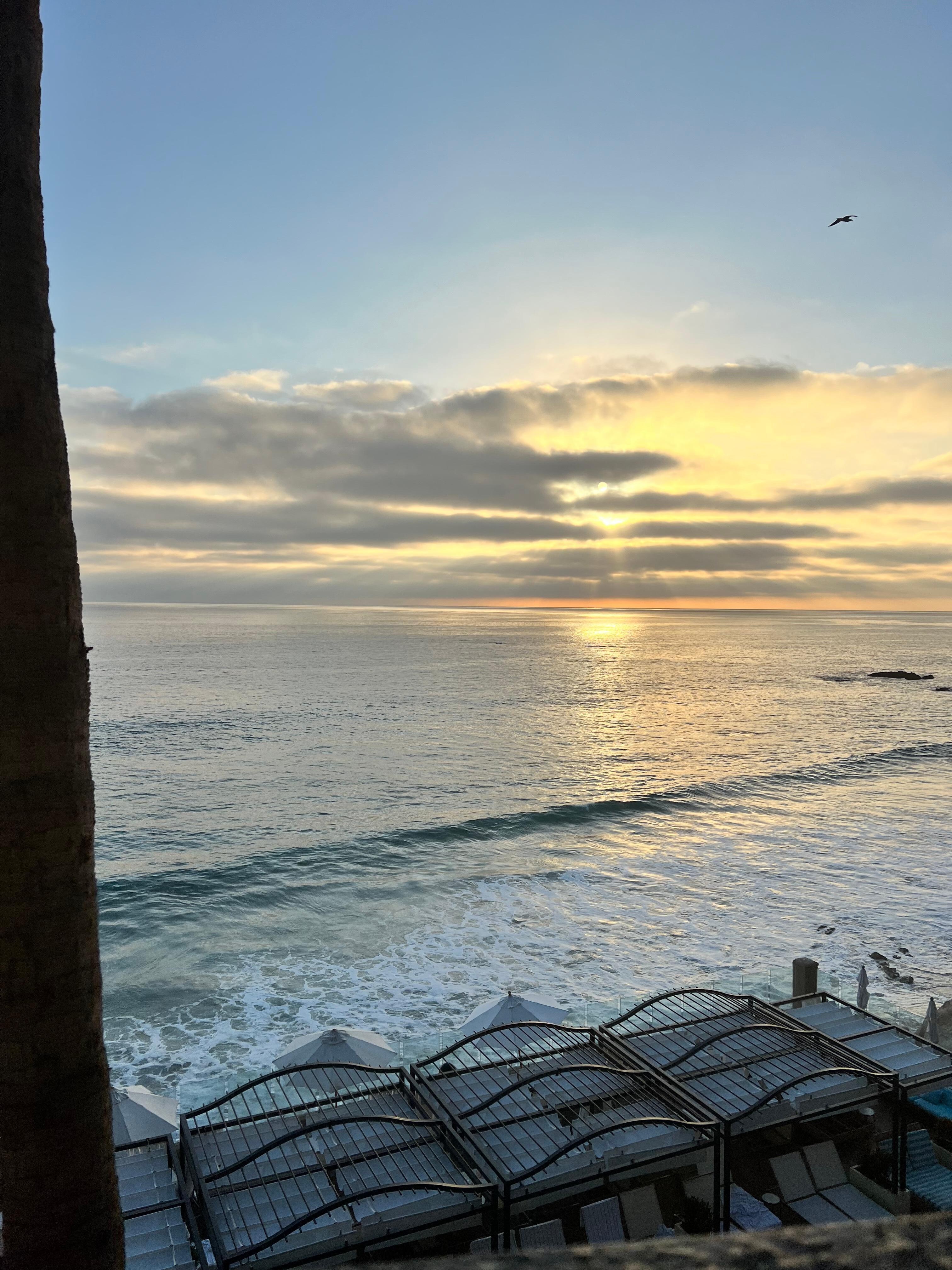 Book Surf And Sand Resort in Laguna Beach | Hotels.com