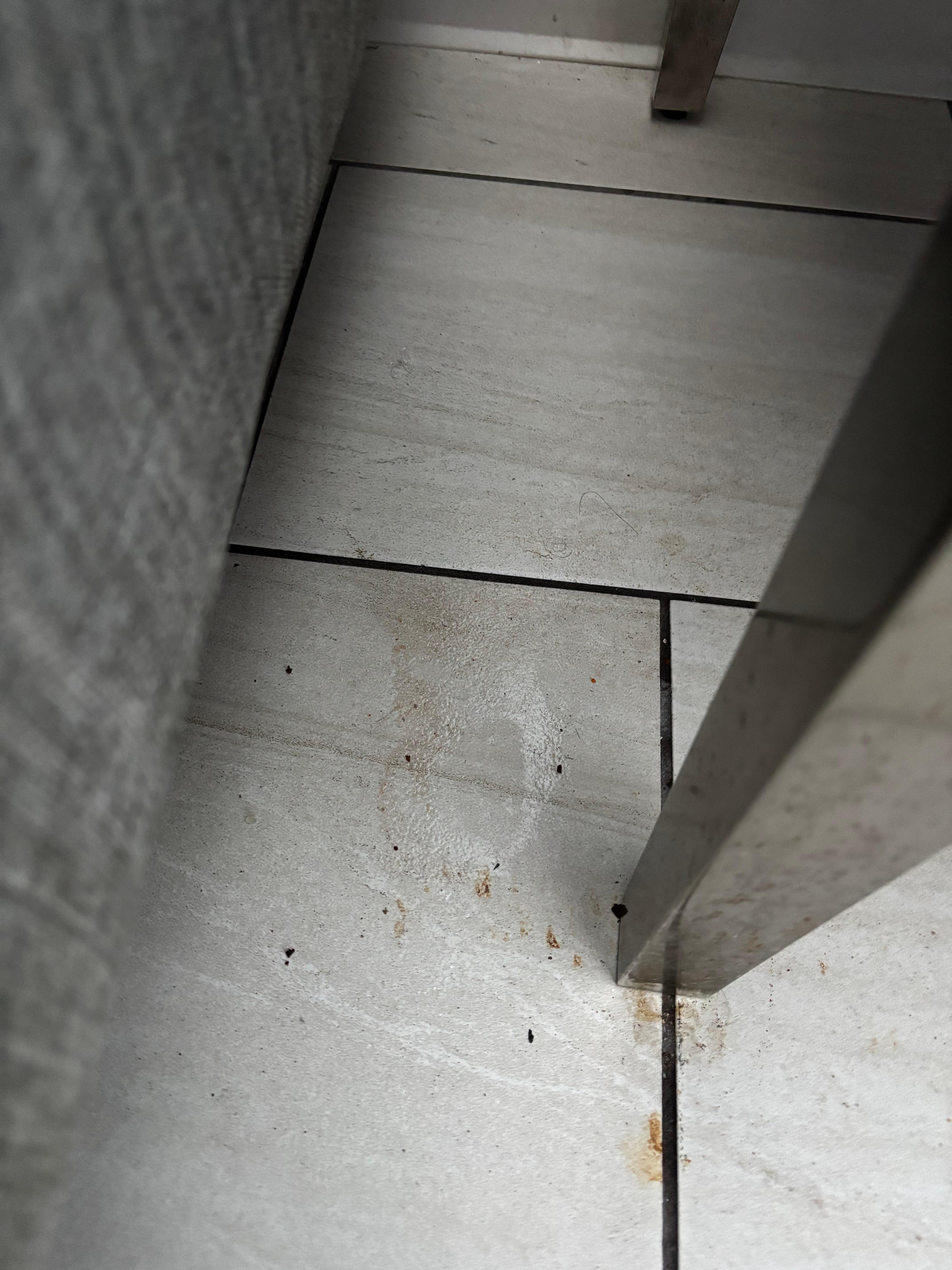 i took this photo before i even moved my belongings into the room. 