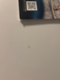 Zoom in. The management wouldn’t even give me some complimentary points for my inconveniences. I was up from 3:30 AM until returning that evening to get another room in which the clerk had charged me for but then it got corrected. Straight aggravated