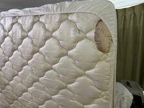 Underside of bed mattress.