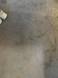 Room 21 dirty carpet