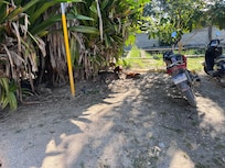 Free parking across the street.