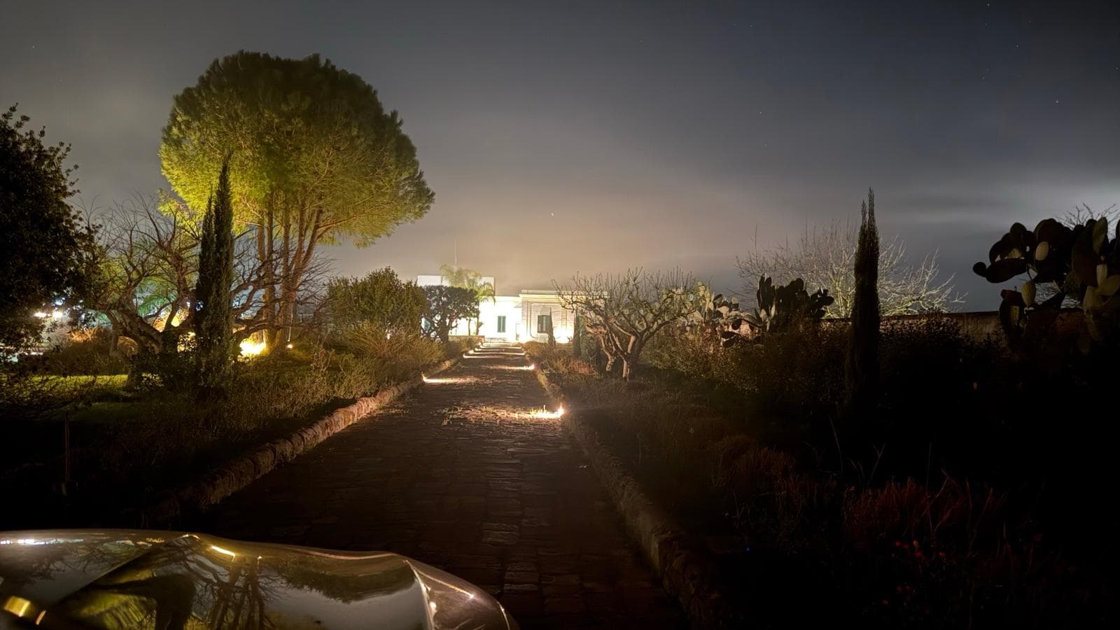Zufahrt bei Nacht