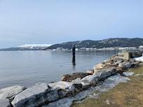 Havmannen på Moholmen