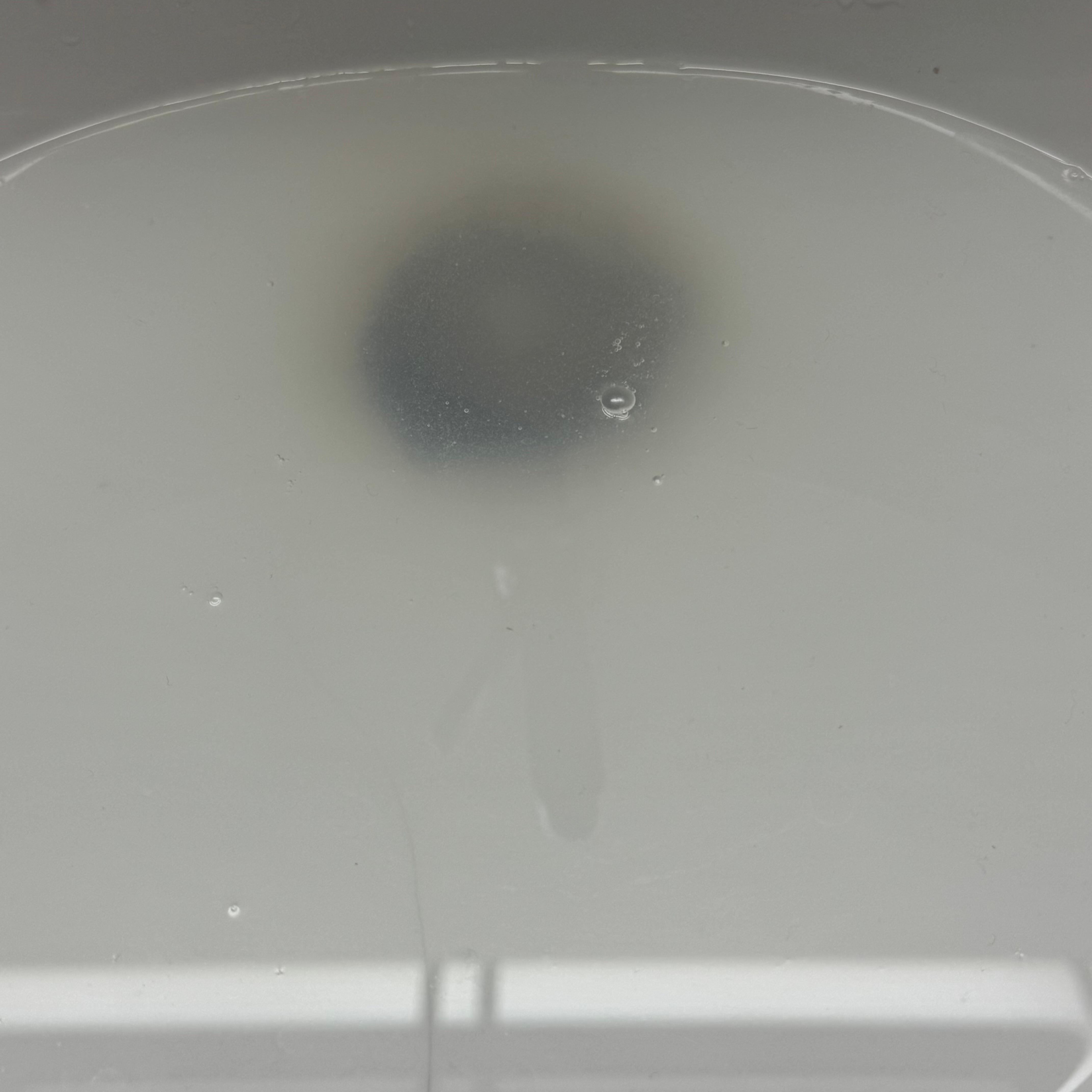 Sink was a bit clogged