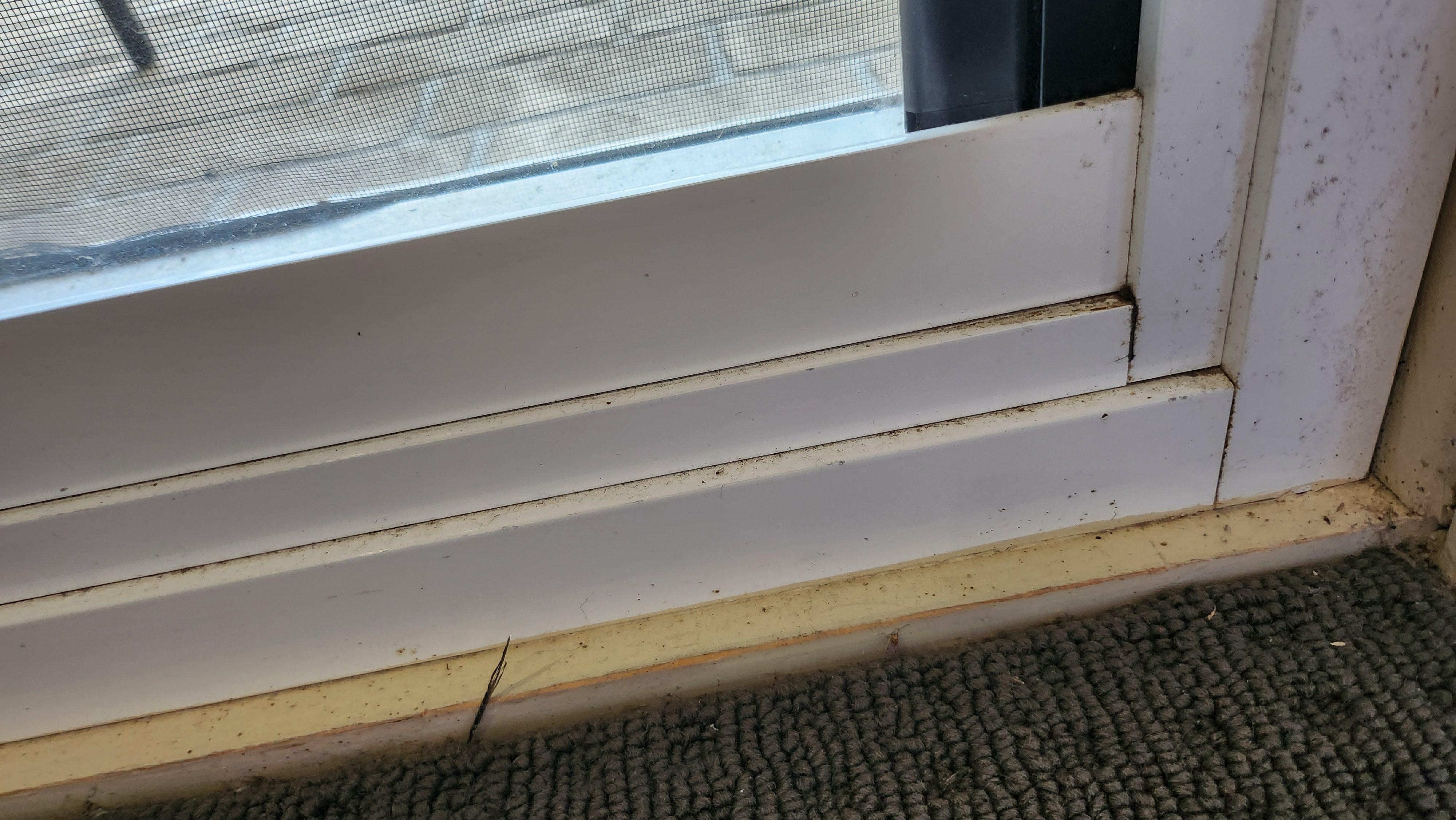 An area showing some cleanliness issues