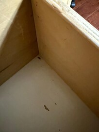 Those little buggers were so fast