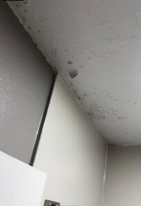 That’s not snow falling on your head