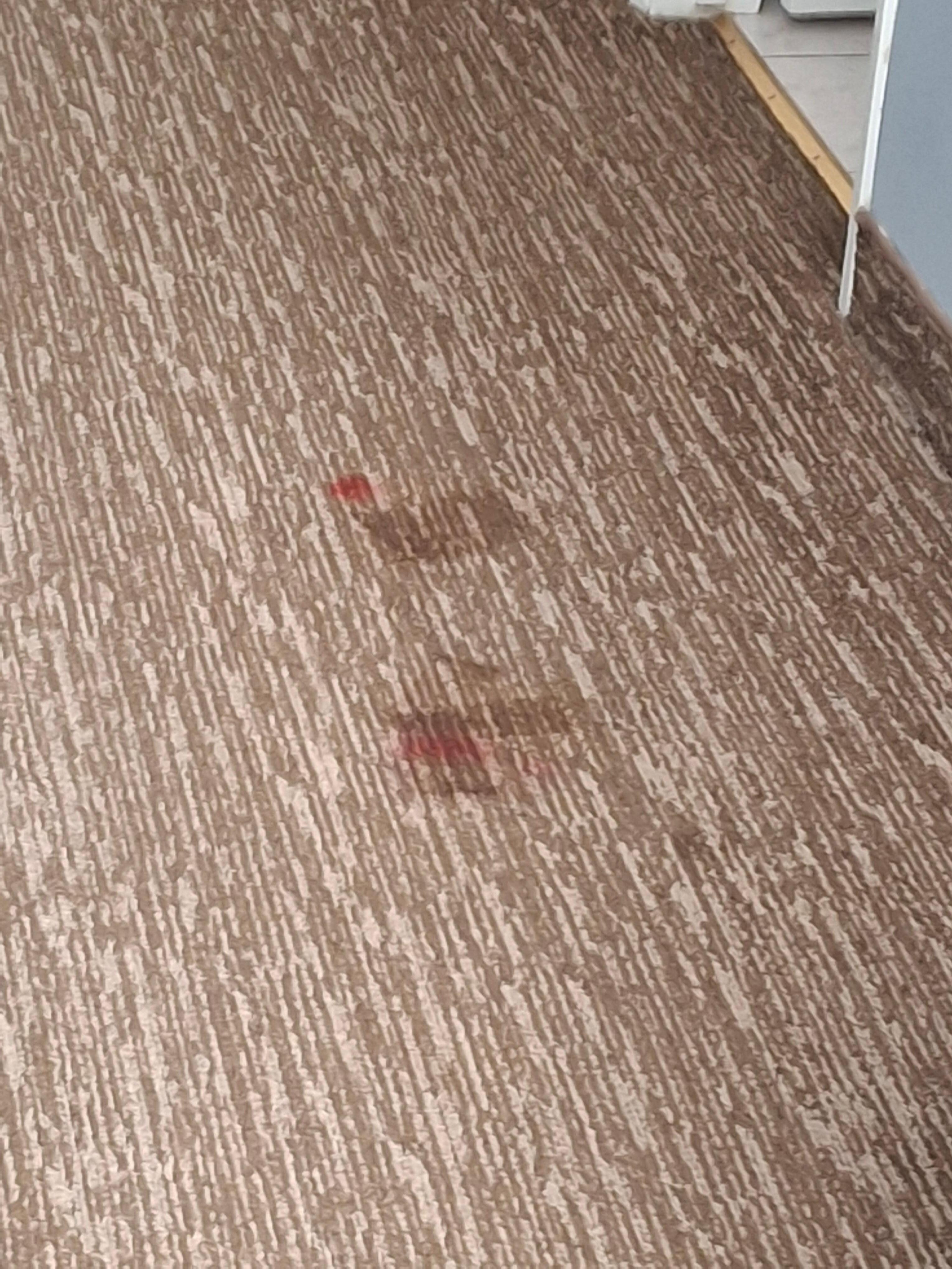 Red on carpet bear bathroom door.