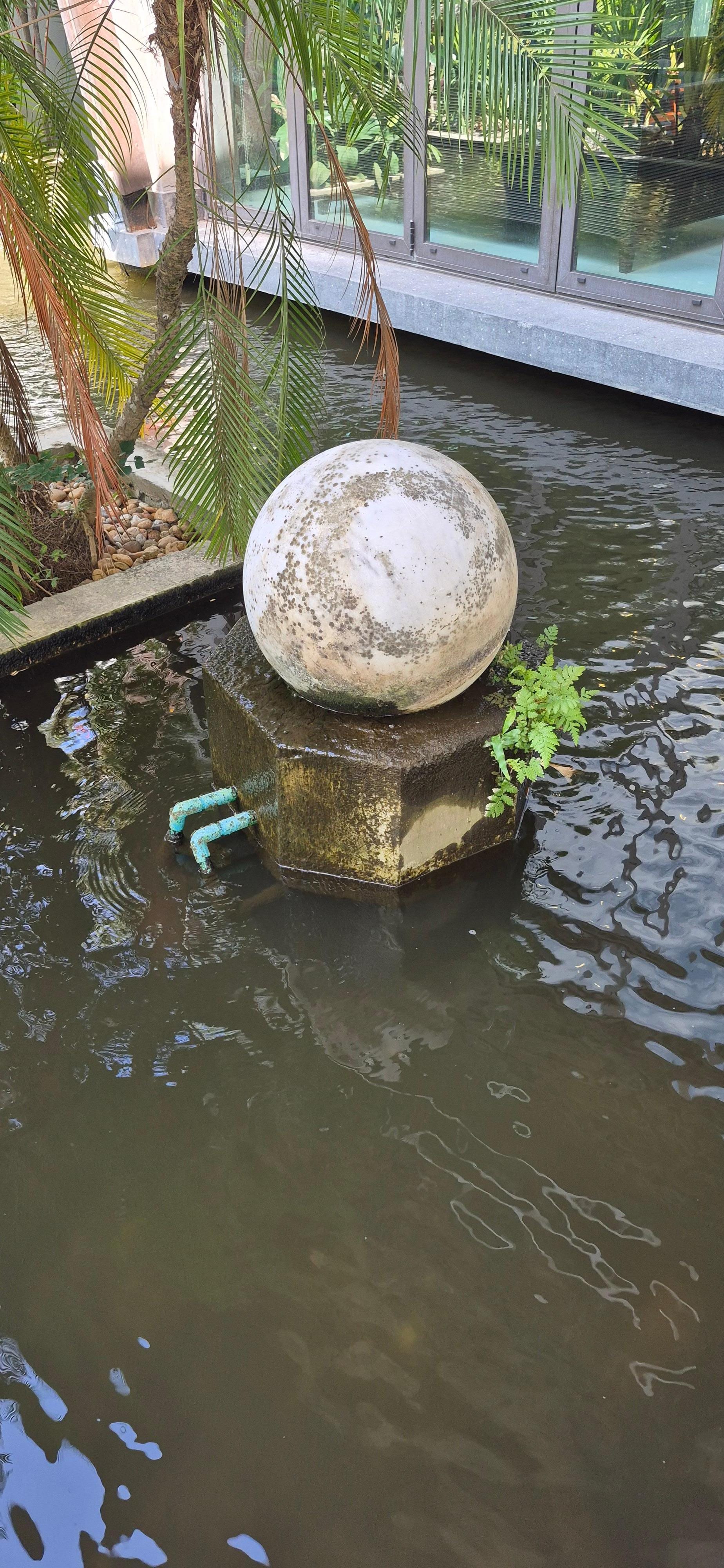 Outside the hotel there were fish swiming in very dirty water. Poor fish! All the fountens had bad water. Some of them with loud frogs at night