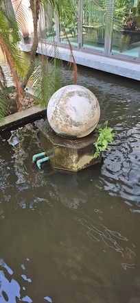 Outside the hotel there were fish swiming in very dirty water. Poor fish! All the fountens had bad water. Some of them with loud frogs at night