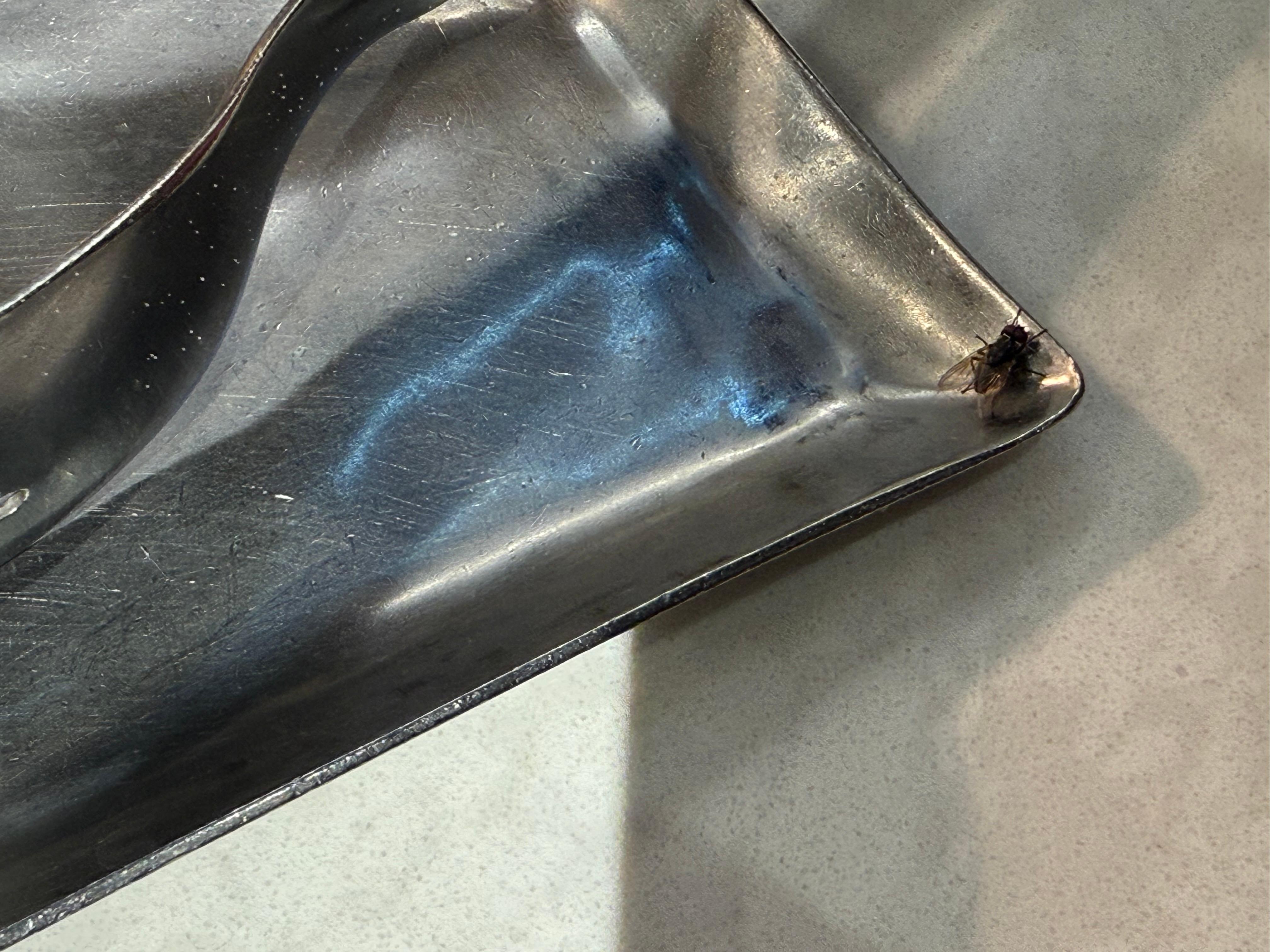 flies at breakfeast buffet disgusting 