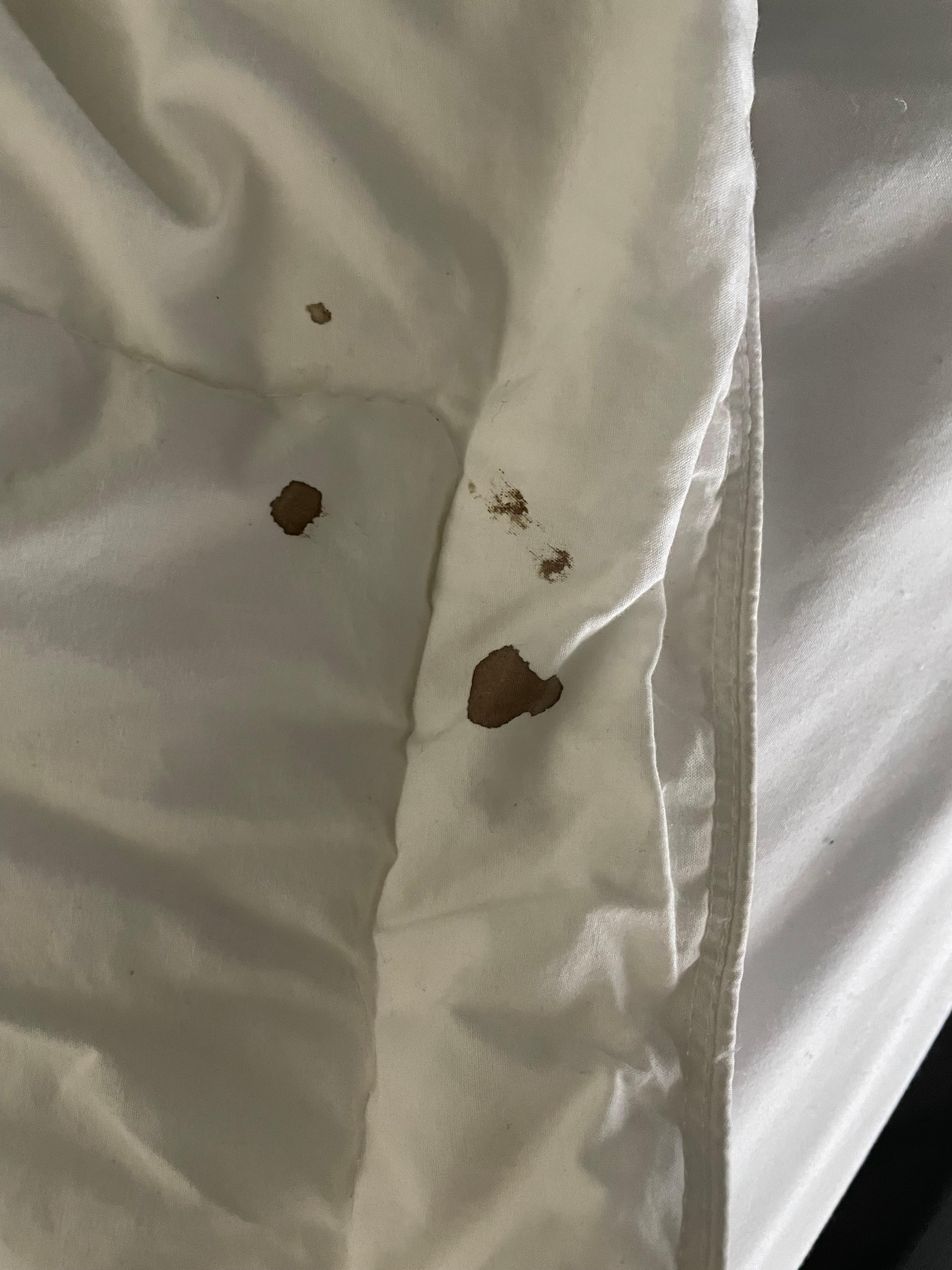 Dry blood on comforter 