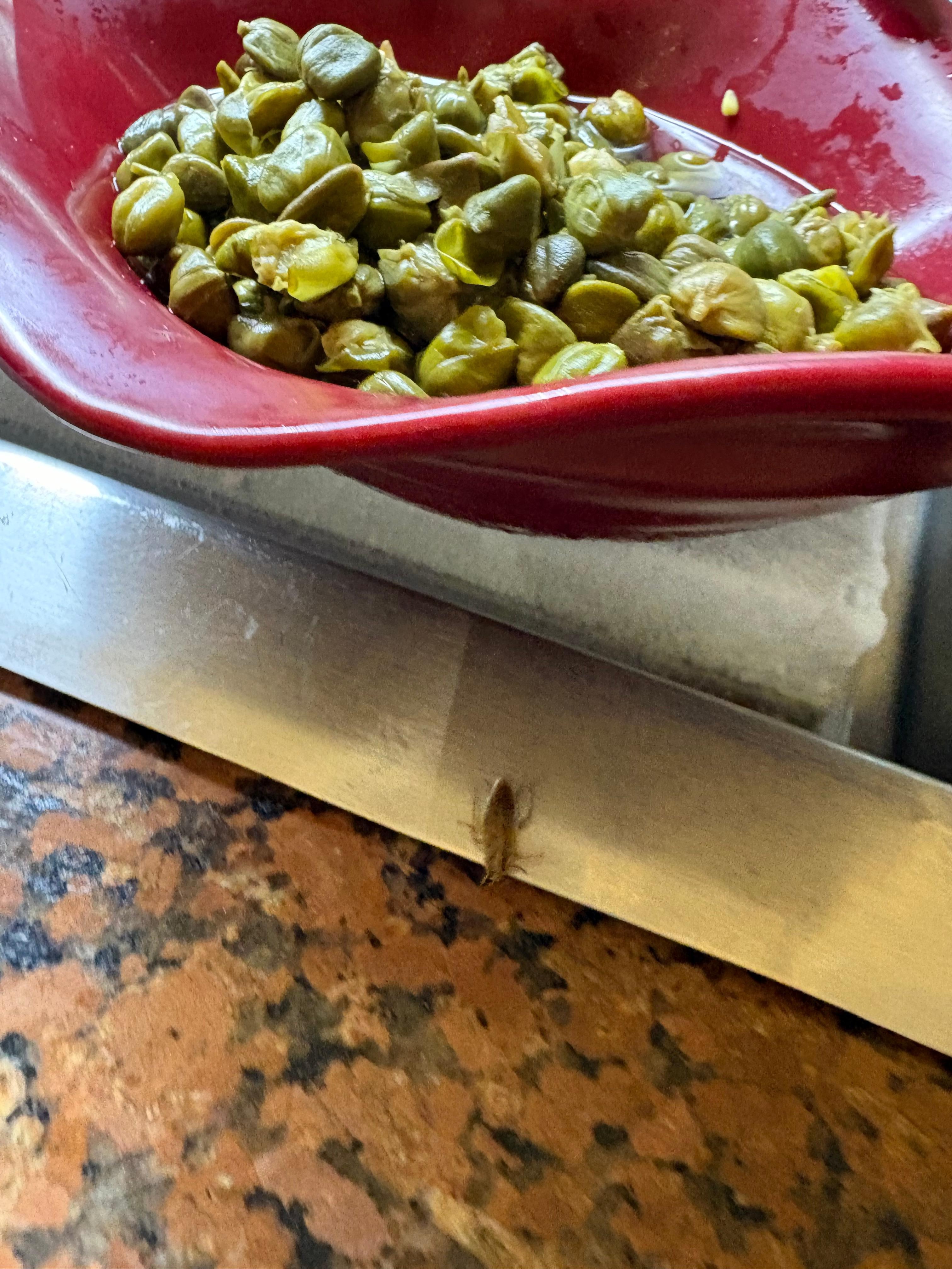 Cockroach at the buffet