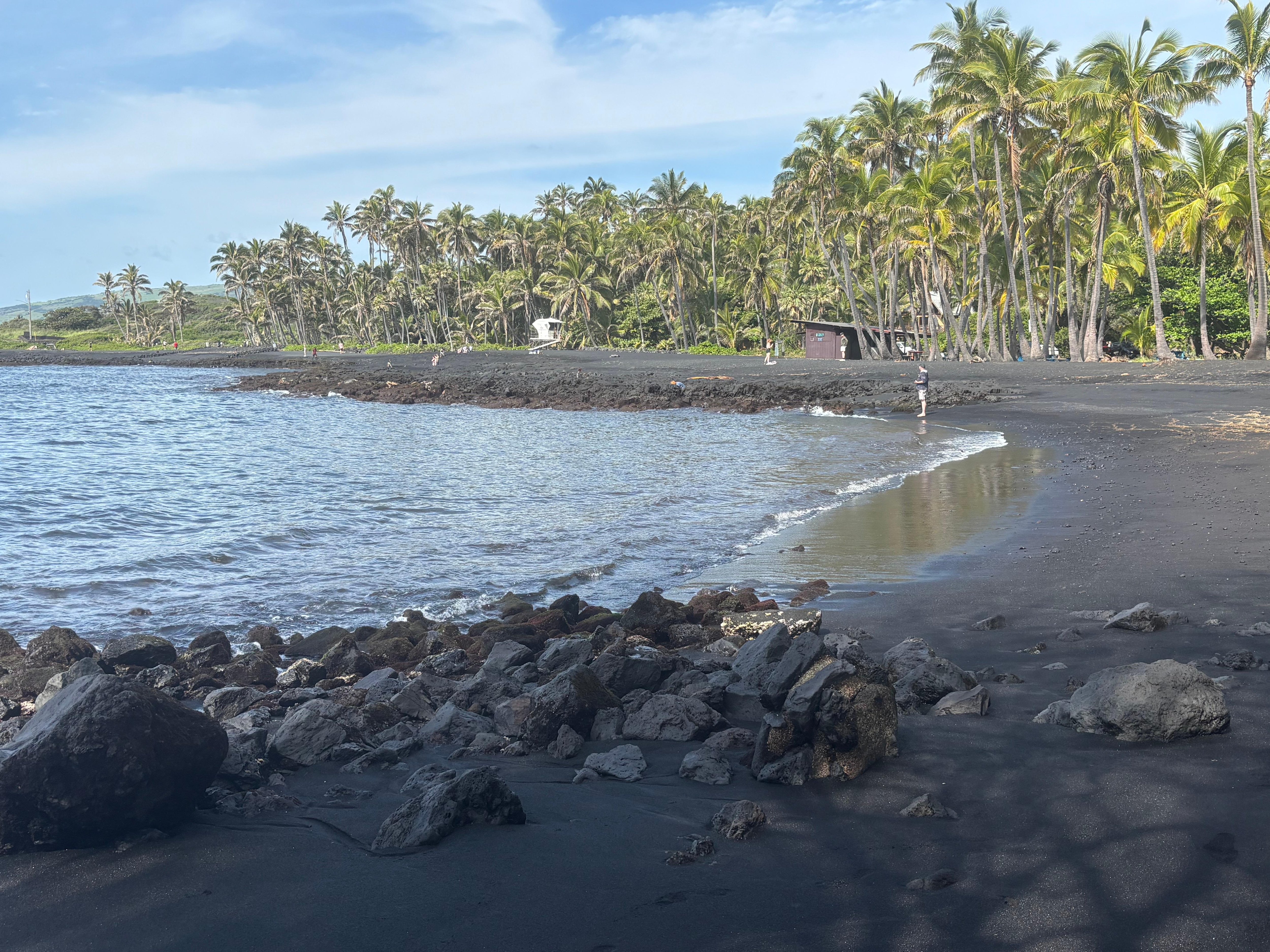 Punalu’u beach-a short walk away