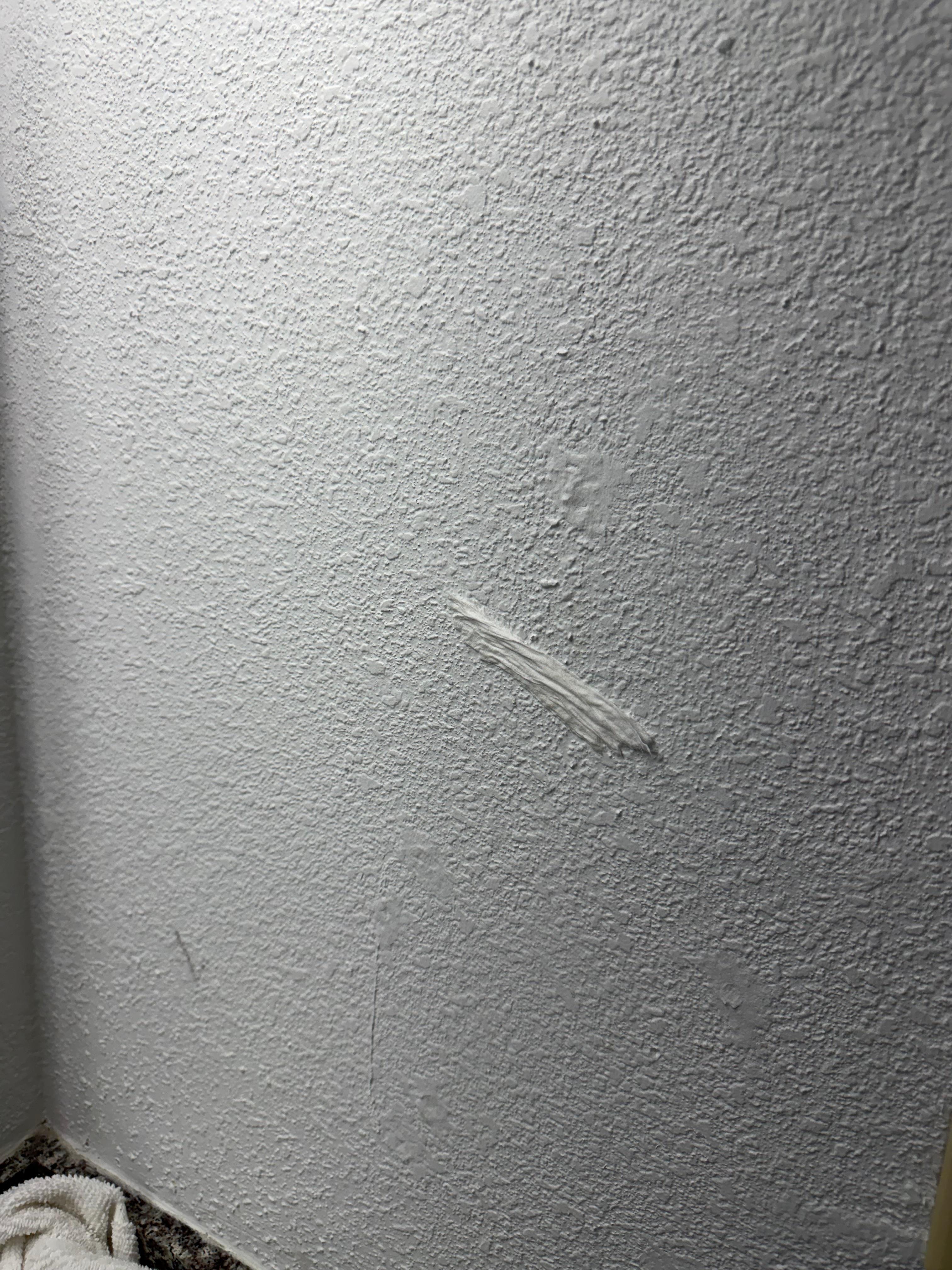 Was of toilet paper or tissue stuck the wall. 