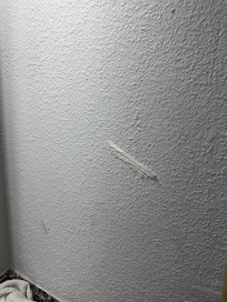 Was of toilet paper or tissue stuck the wall.
