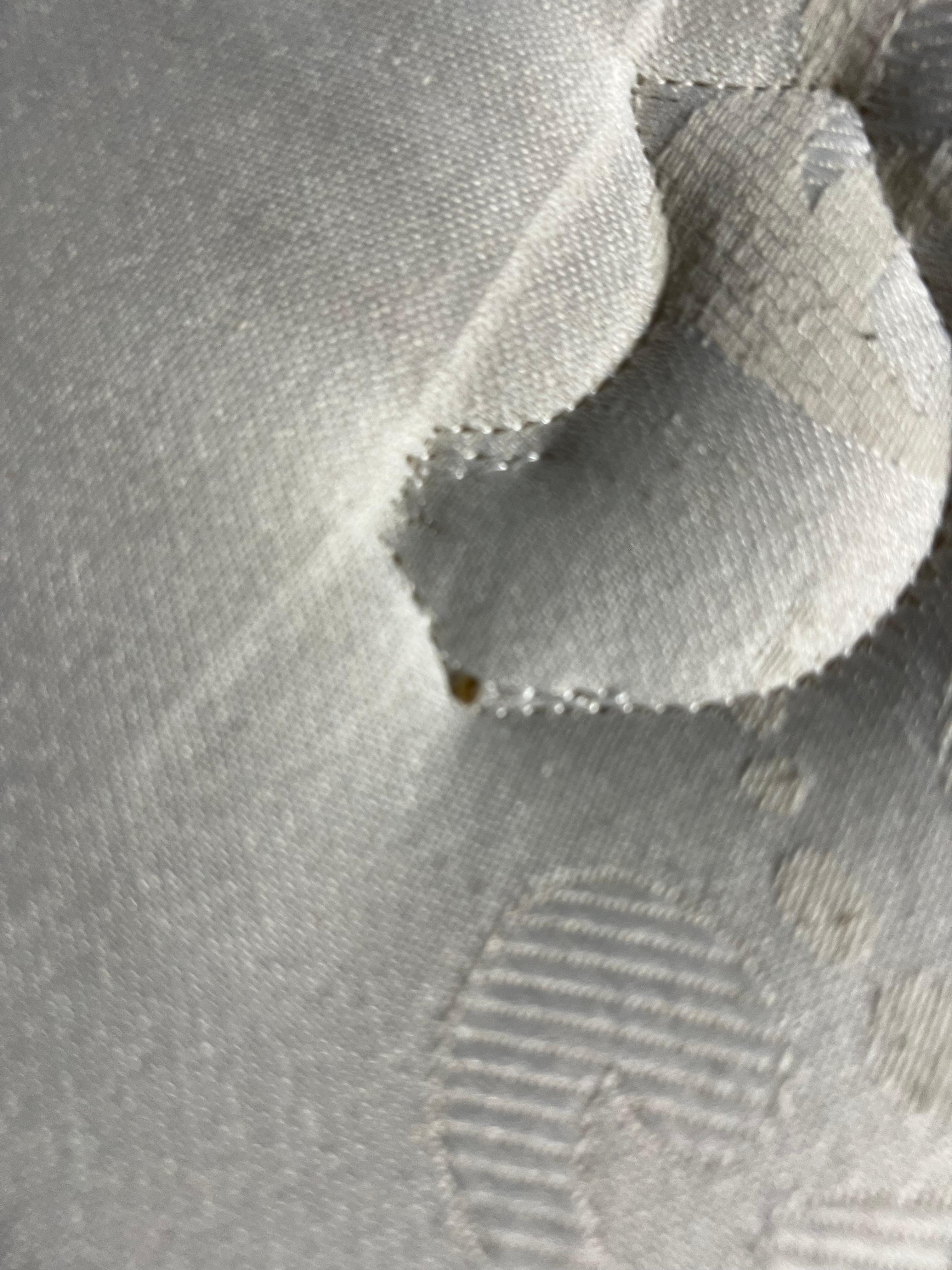 That was dead bedbug