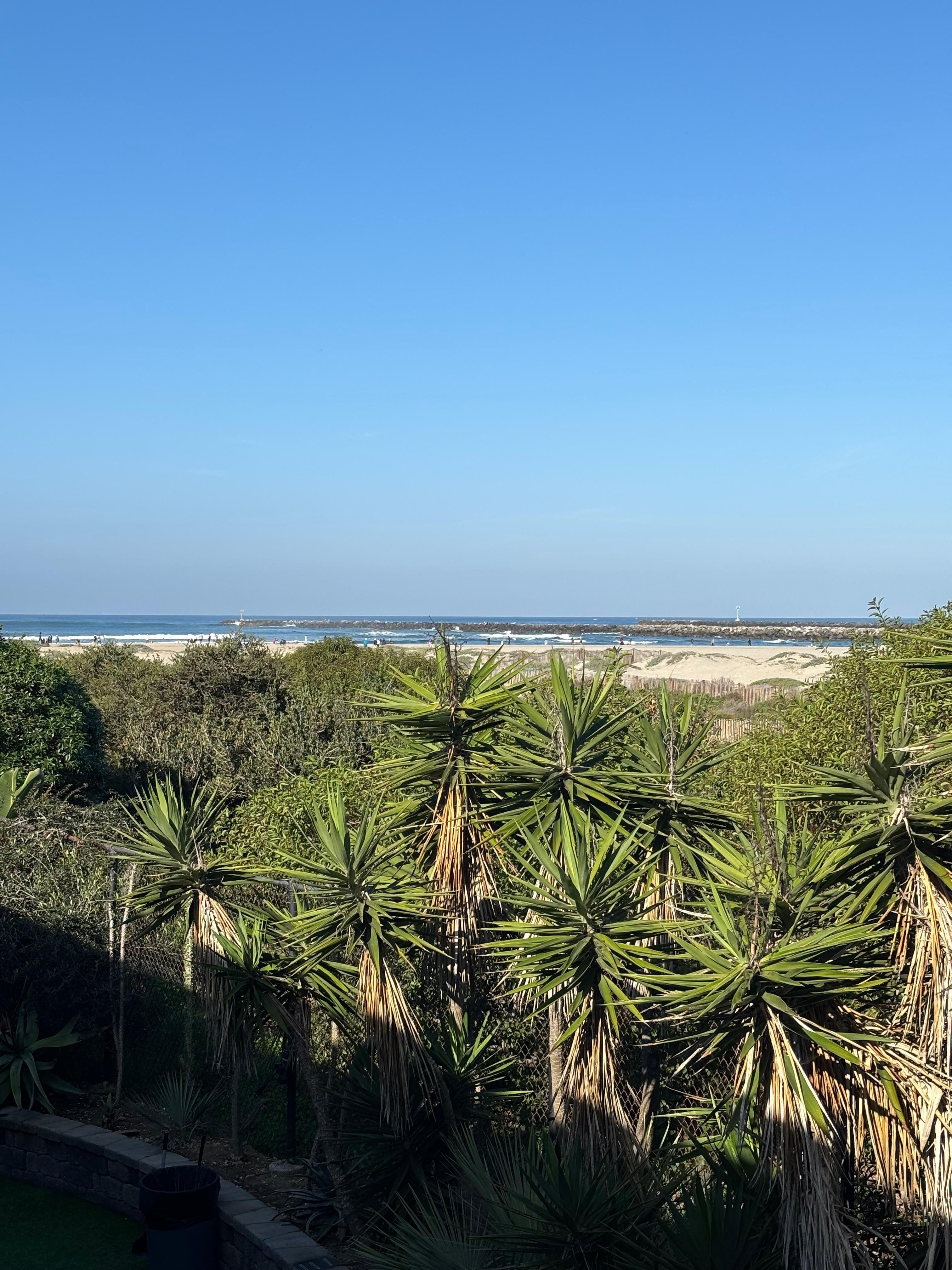 View from back deck of room