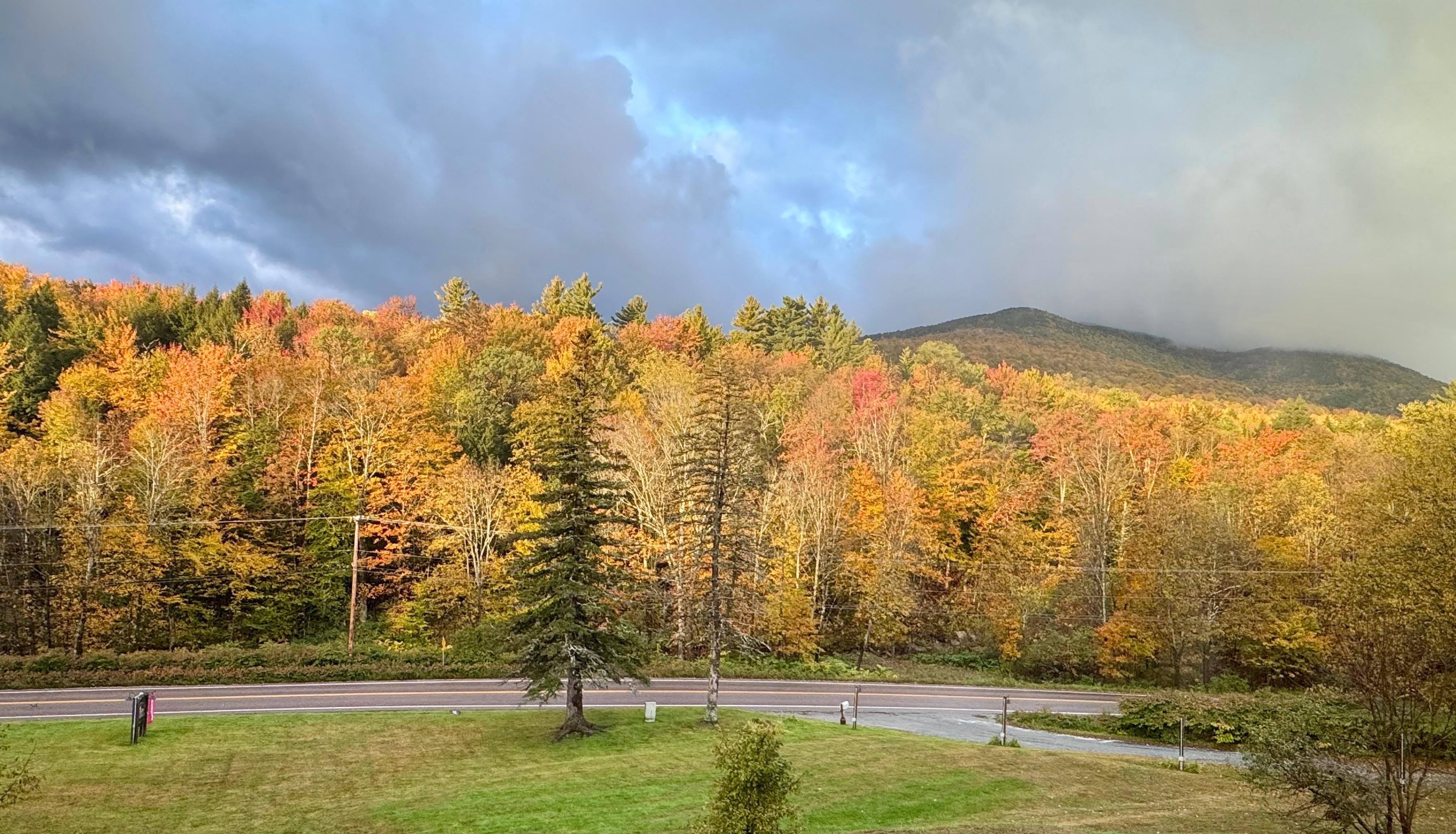 View from window of room 21