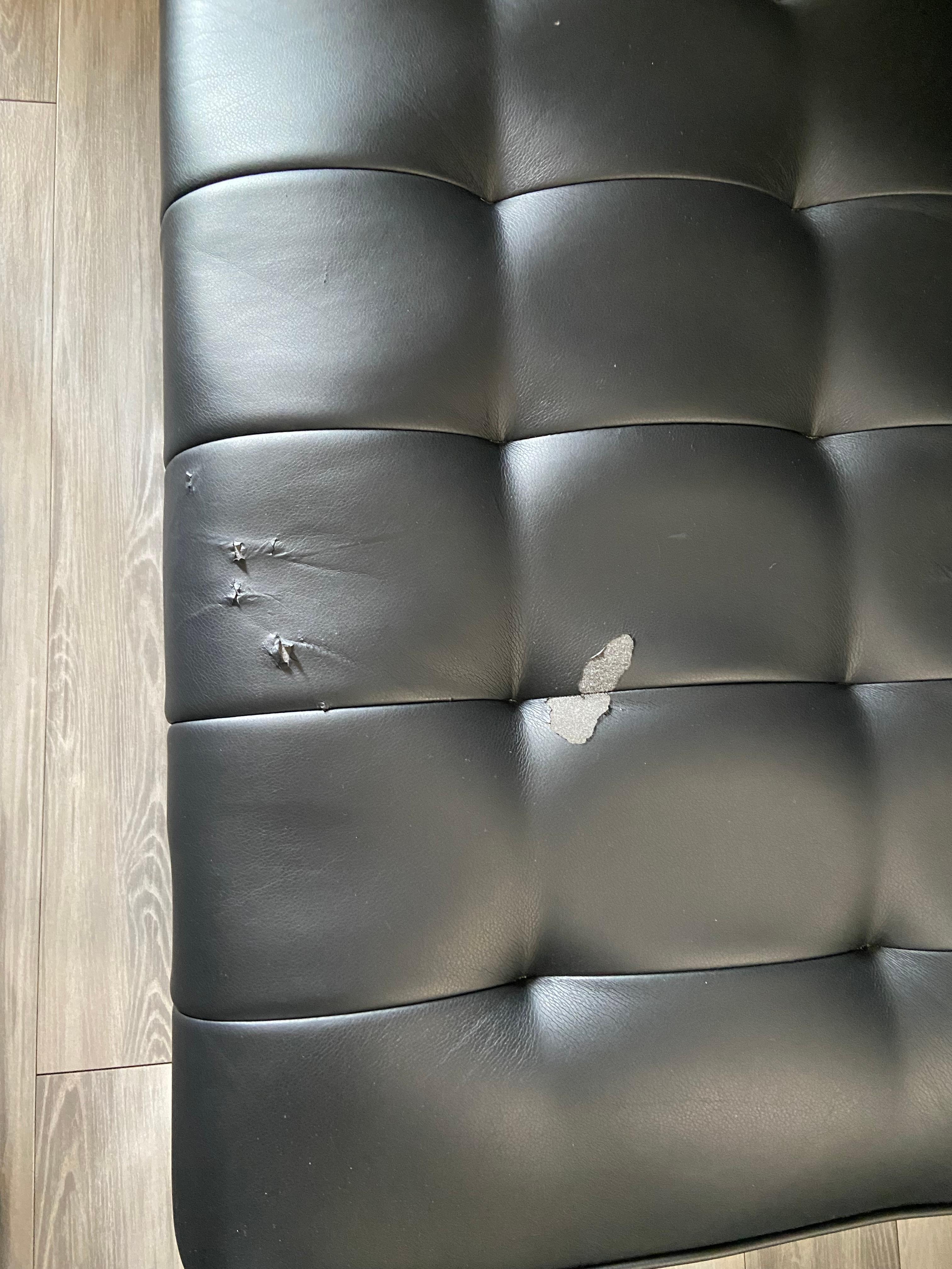 Holes and scratches in couch cover