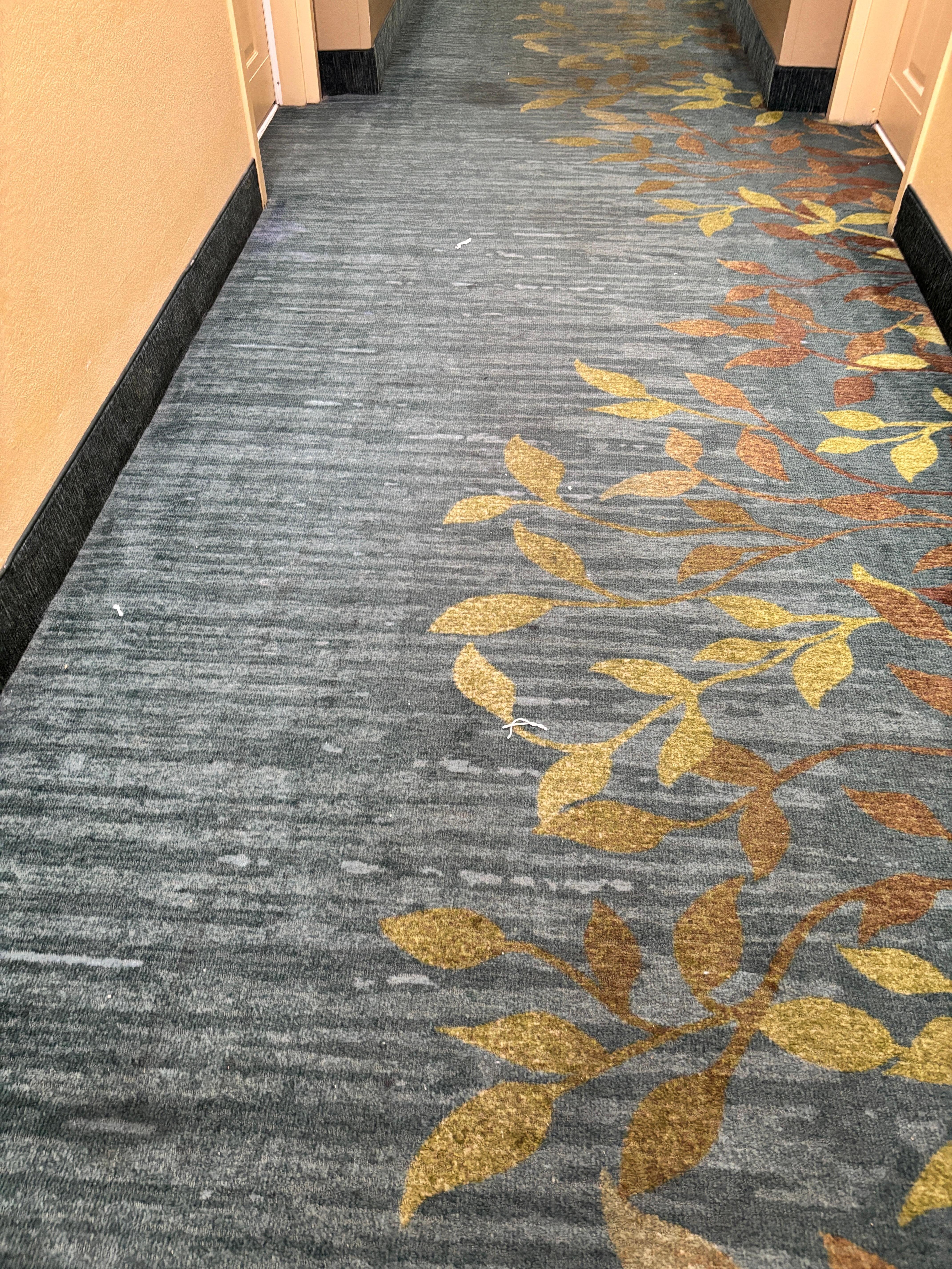 Random debris throughout hallway