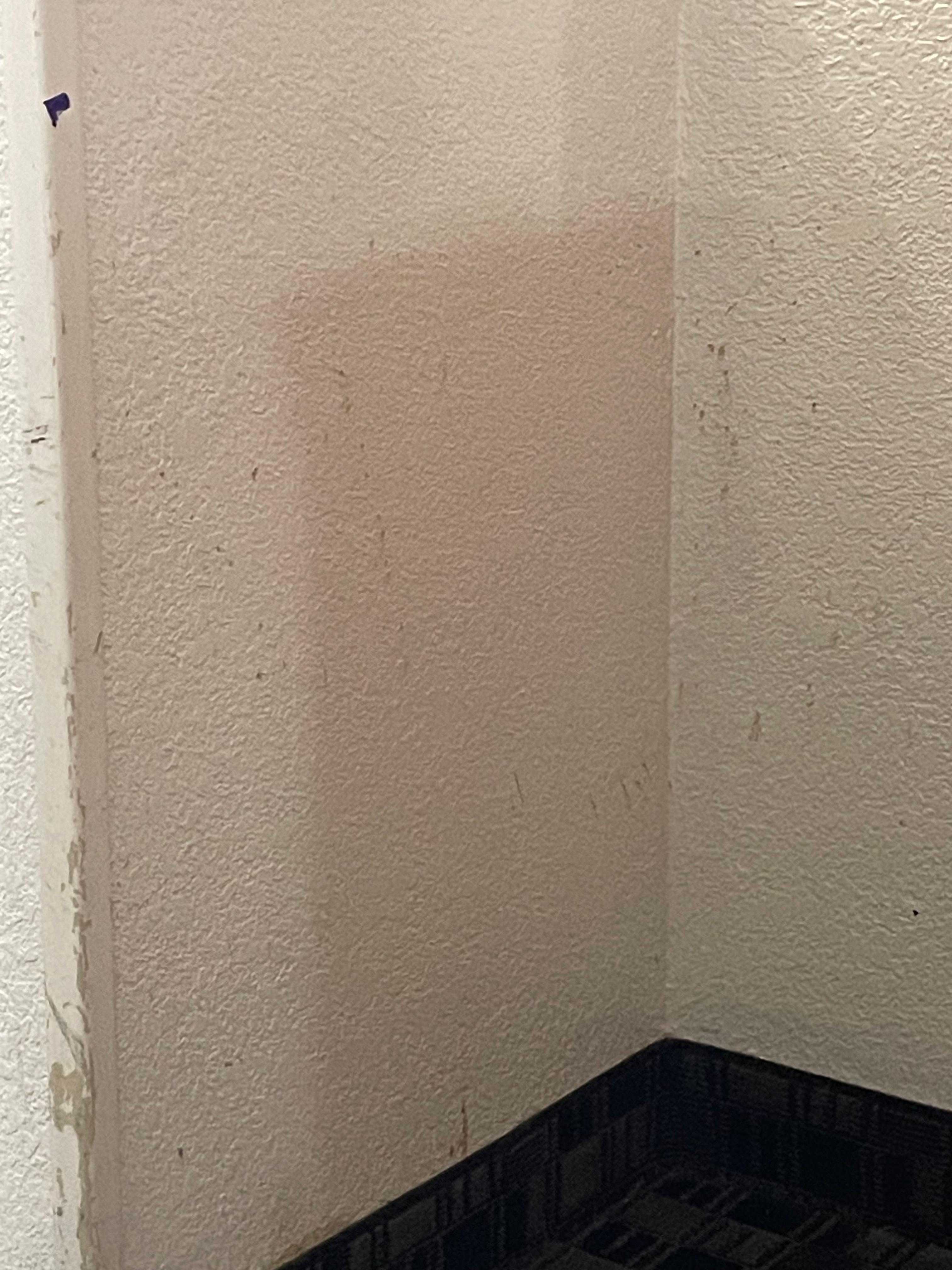 Stains on wall 