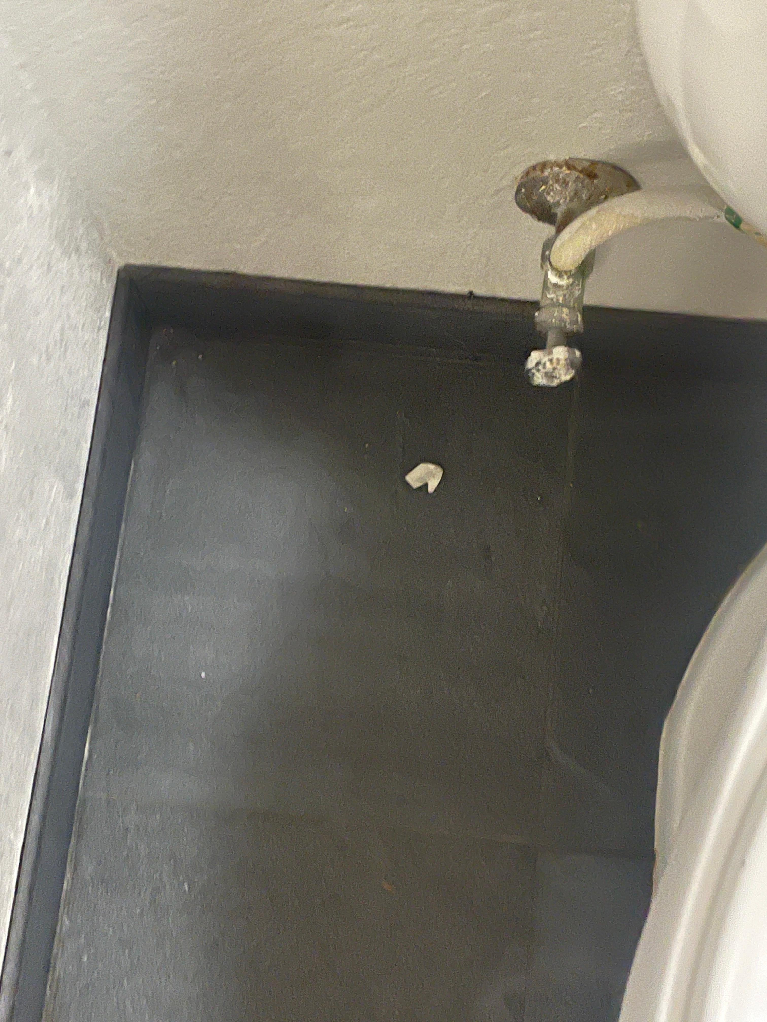 trash and though i got the feces on the back of the toilet, but must have missed its 