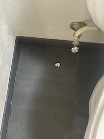 trash and though i got the feces on the back of the toilet, but must have missed its