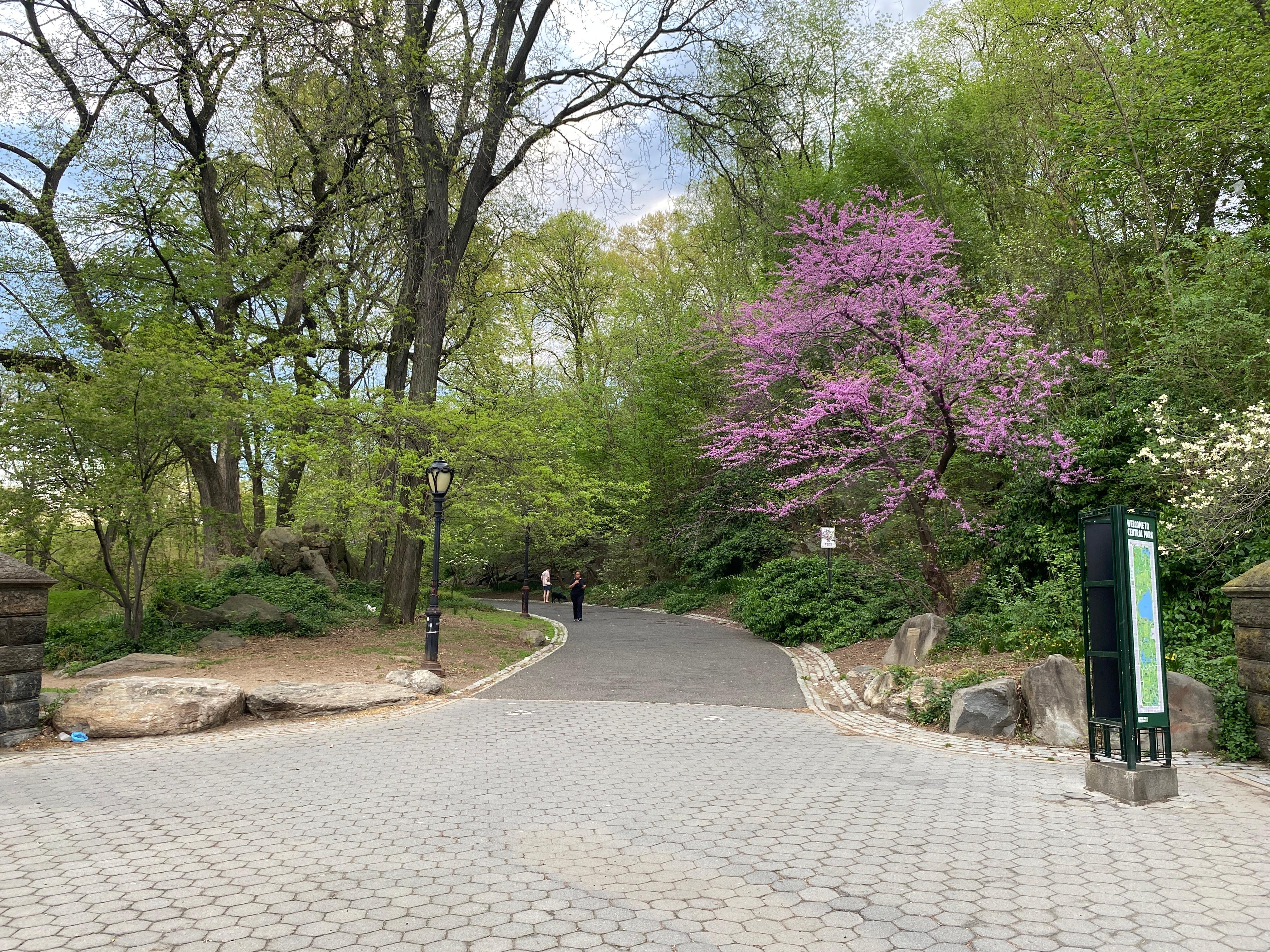 Entrance to Central Park 1/2 a block away from the Kama Central Hostel Hotel. 