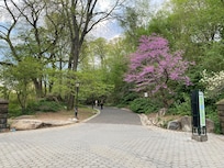 Entrance to Central Park 1/2 a block away from the Kama Central Hostel Hotel.