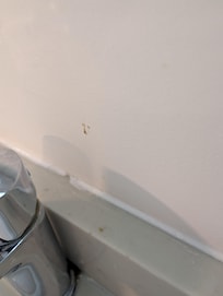 Boogers on wall in bathroom