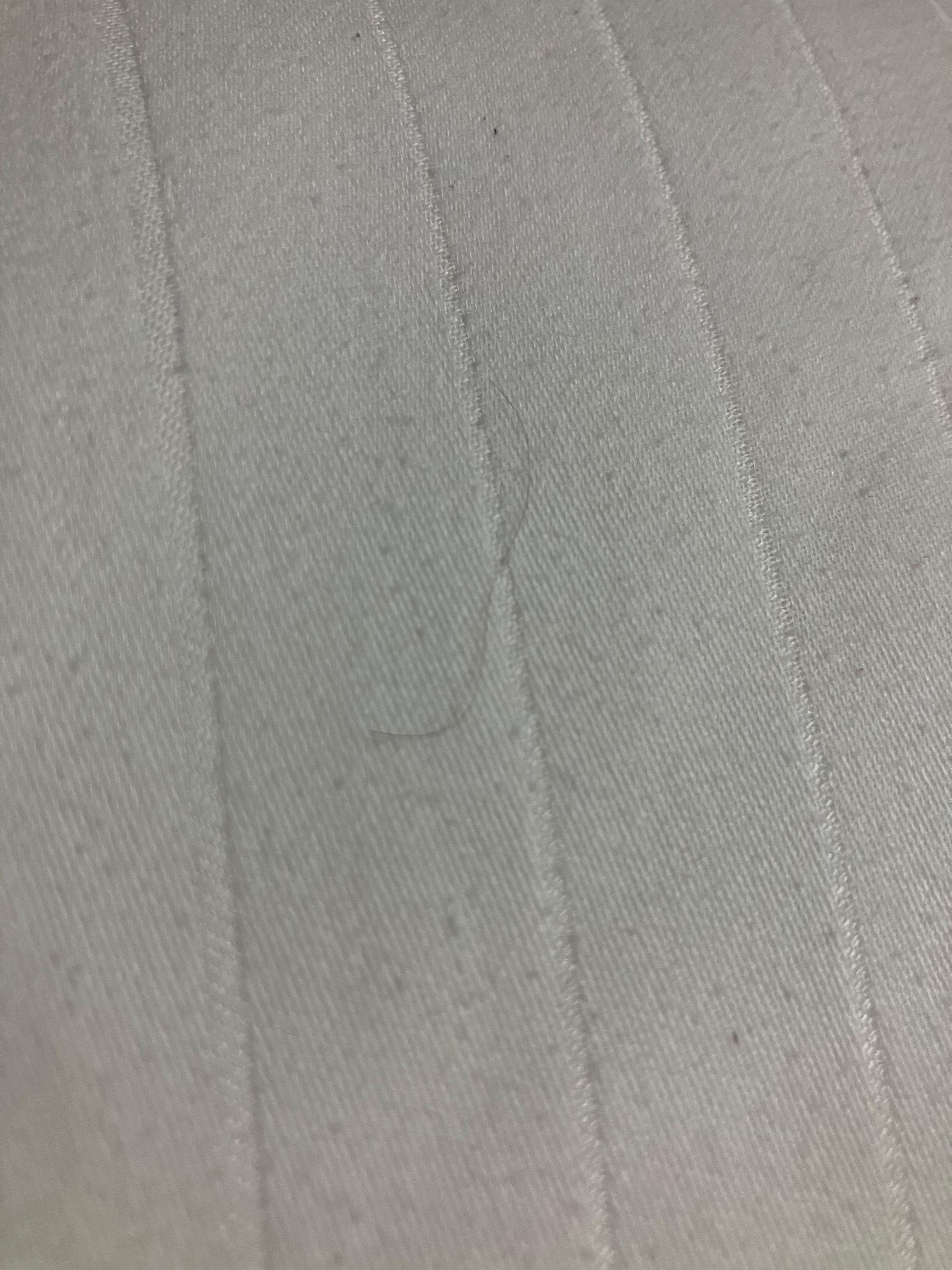 Another dark hair on bed sheet. 