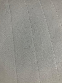 Another dark hair on bed sheet.