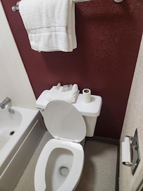 One set of towels, half of a roll of toilet paper