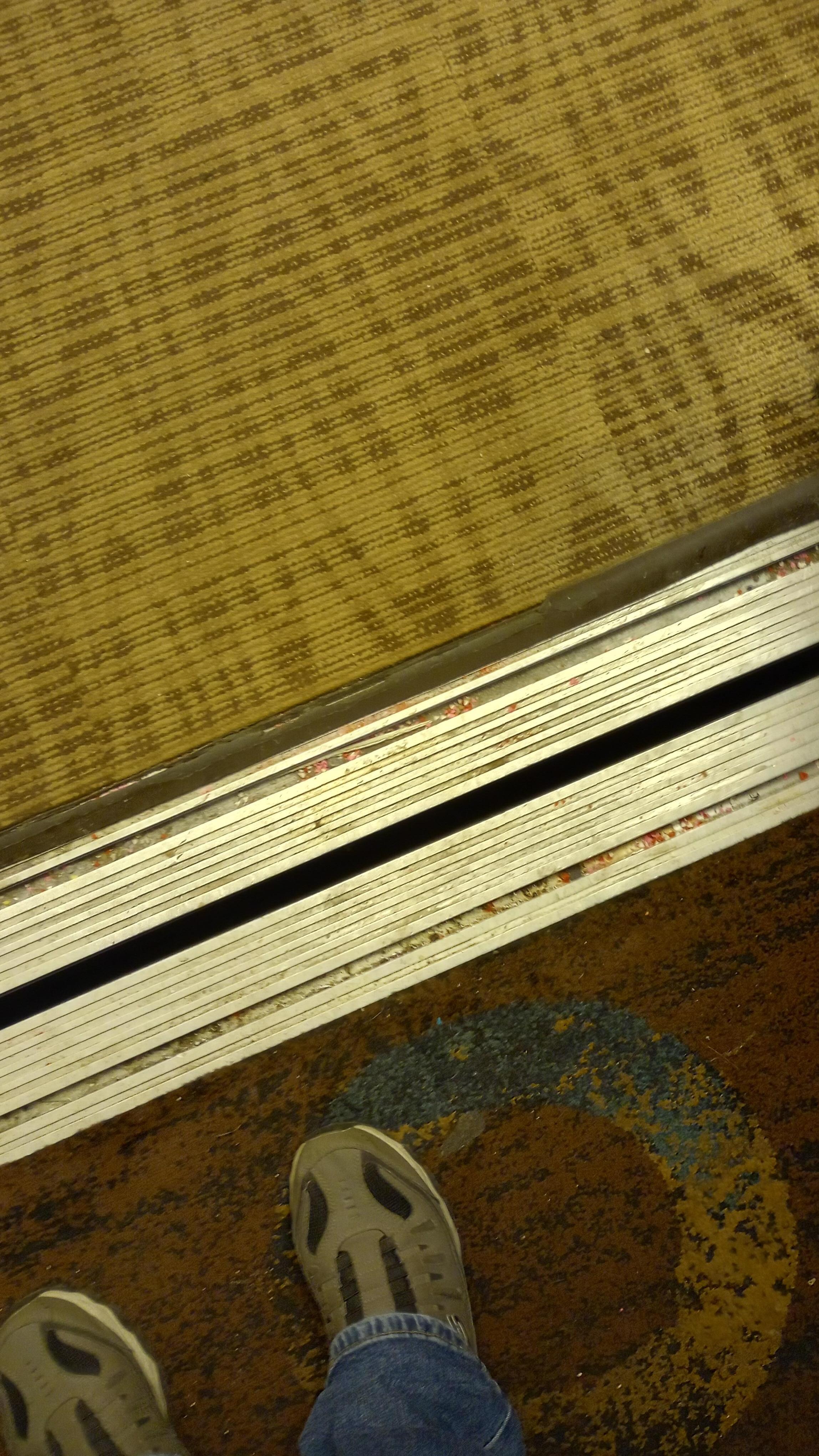 Floors in hallways never vacuumed 