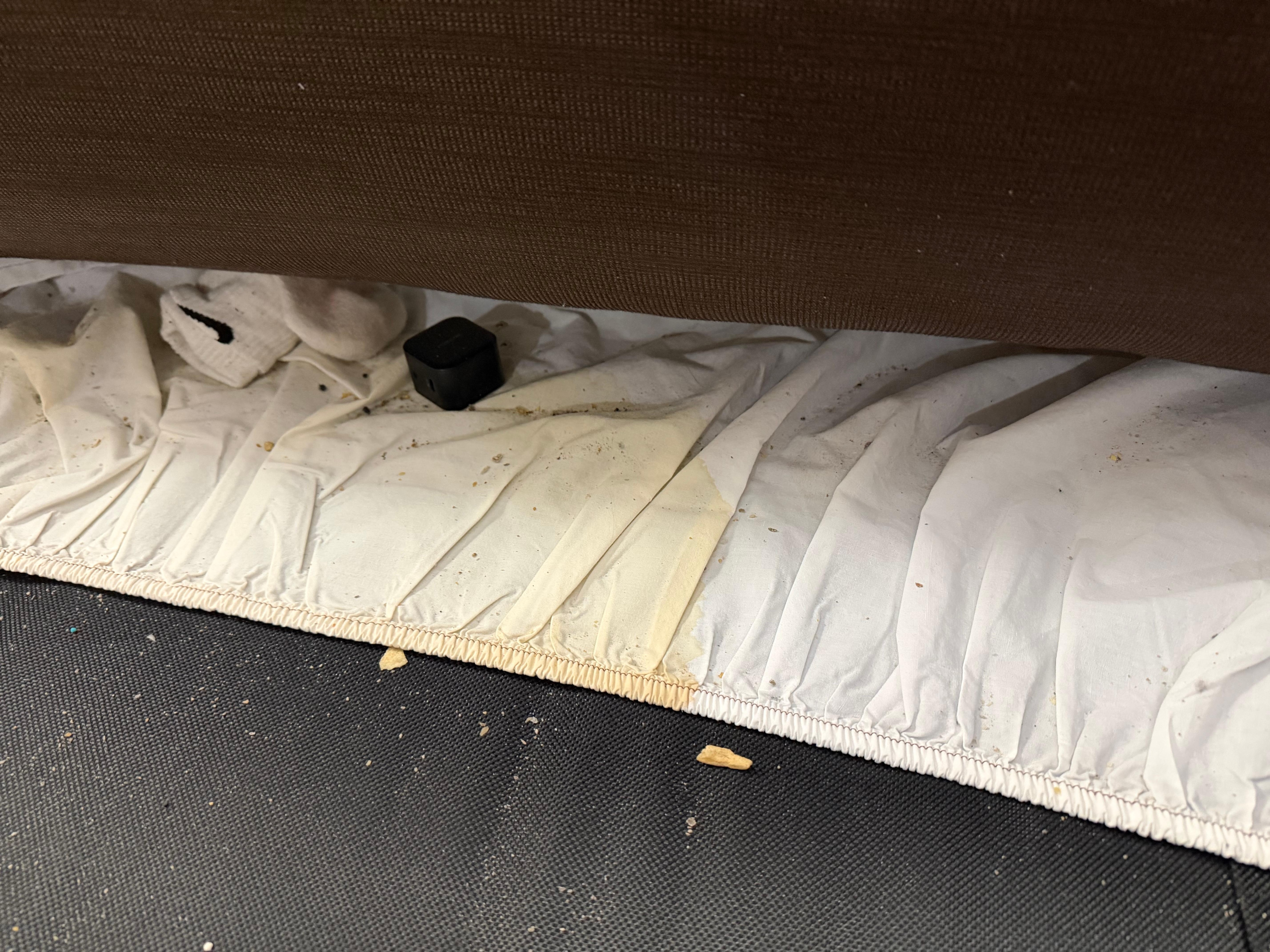 Urine soaked sofa bed