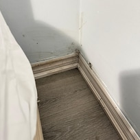 Mold on corner