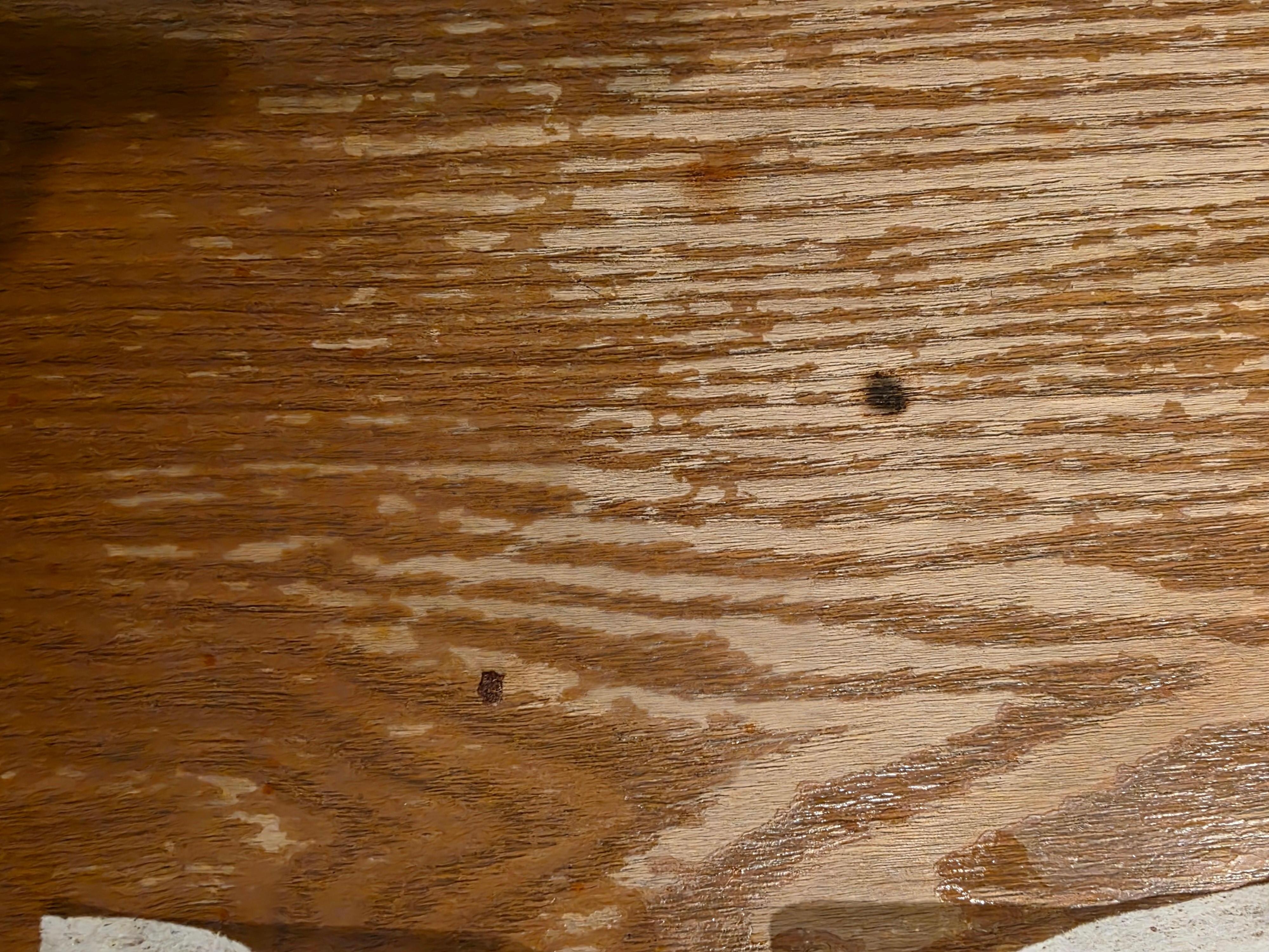 Leftover food crumbs