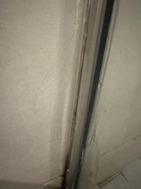 Moisissure et cheveux