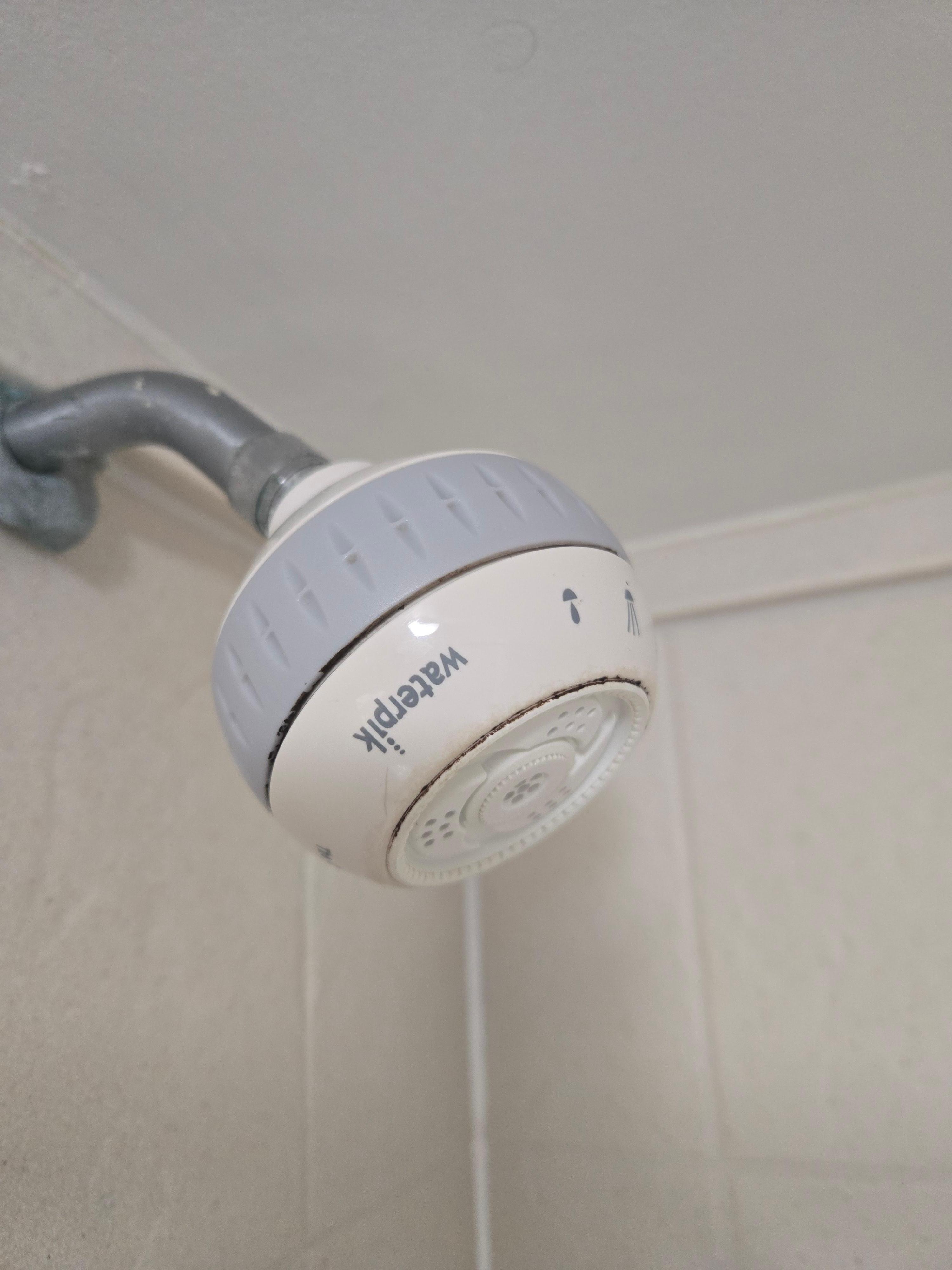 Mold in the shower head