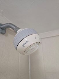 Mold in the shower head