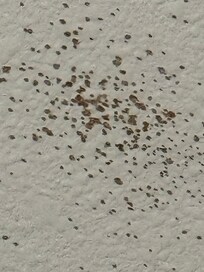 On ceiling above heating vent