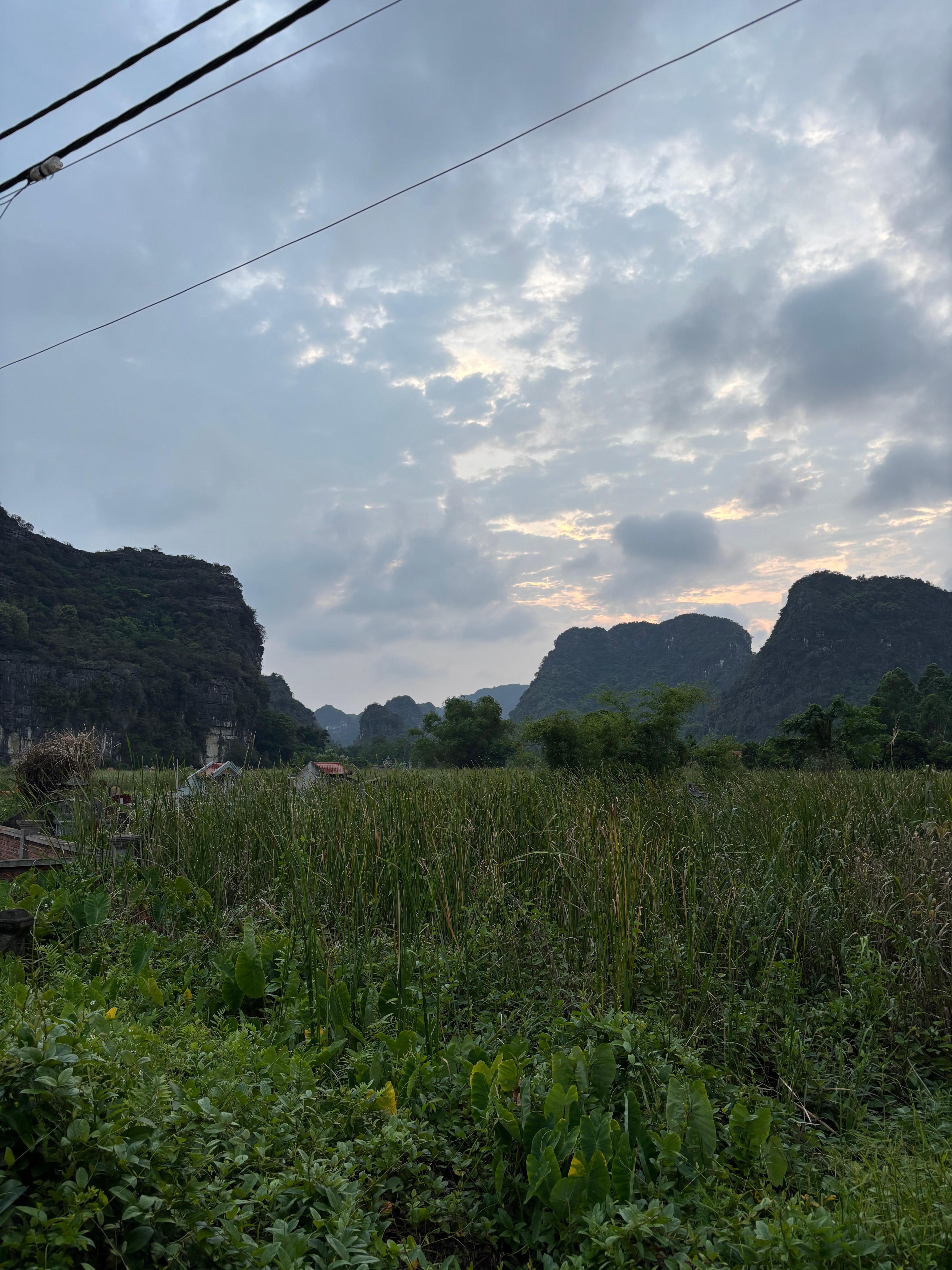 View on hotel grounds