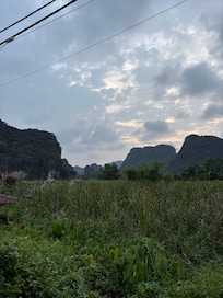 View on hotel grounds