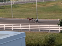 The horses exercising. My view from the terrace.