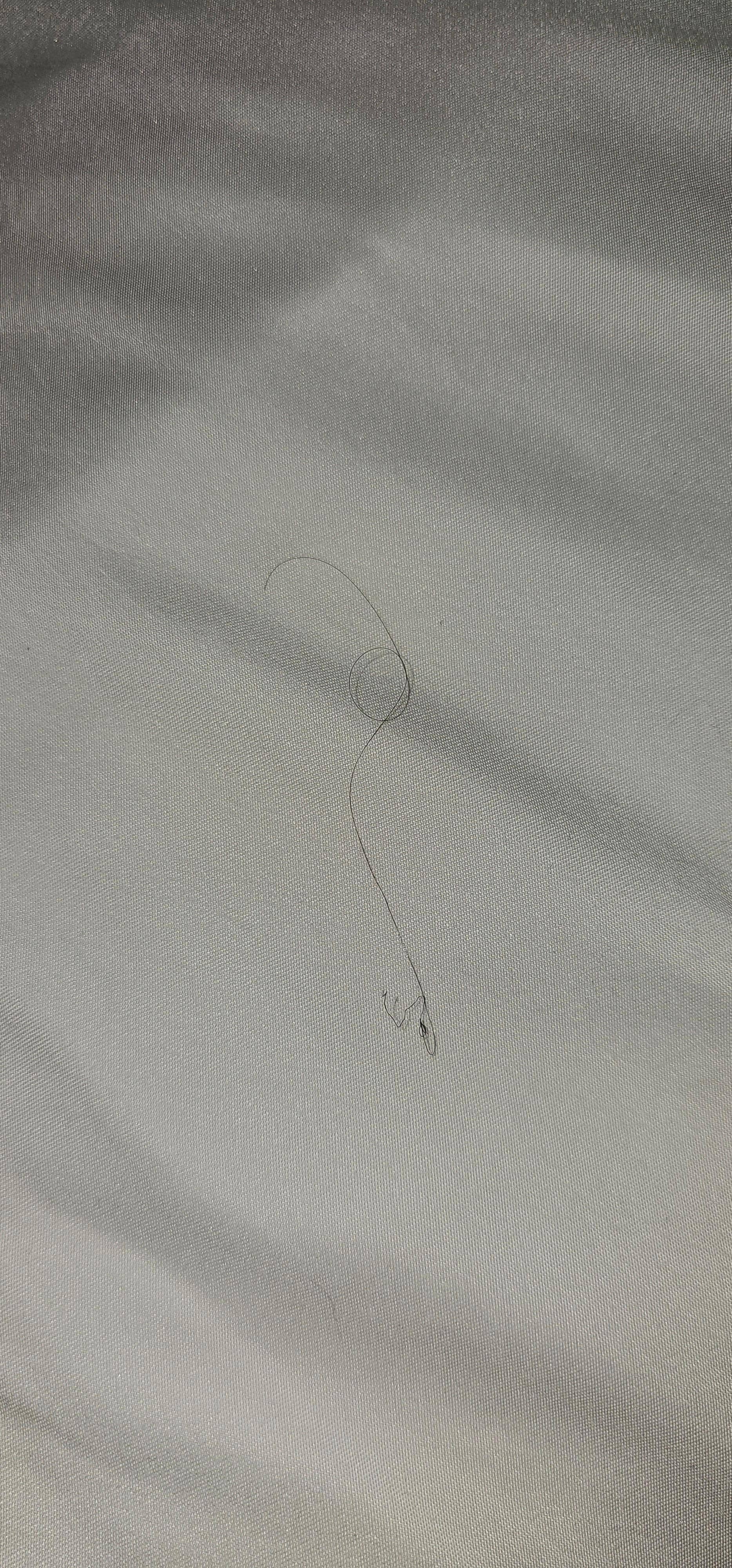 Hair under the comforter 